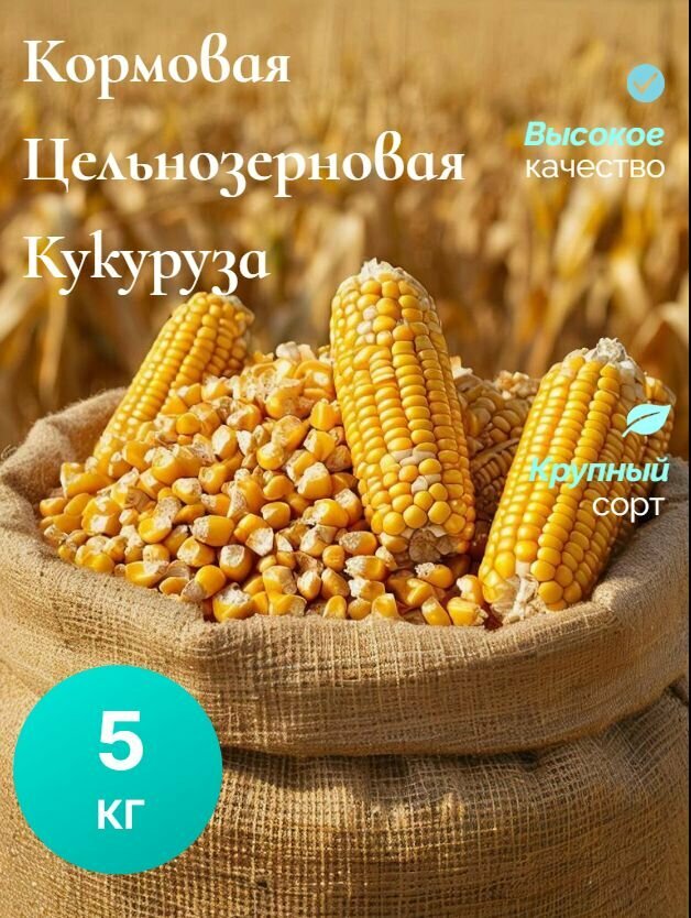 Кукуруза кормовая