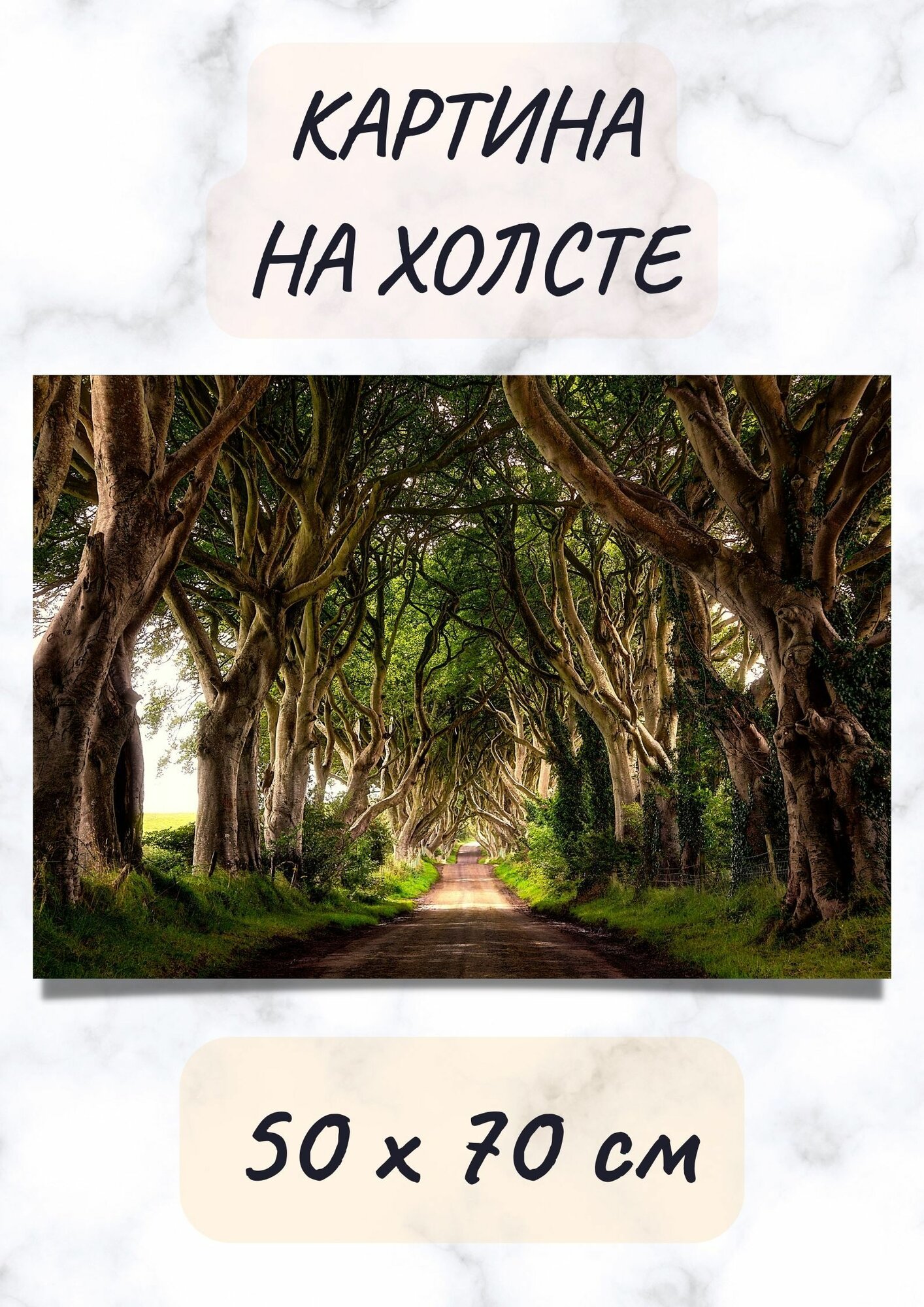 Фотокартина с лесом и деревьями / Картина лес для интерьера