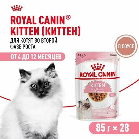ROYAL CANIN KITTEN 28 шт по 85 г кусочки в соусе, влажный корм для котят, в возрасте до 12 месяцев