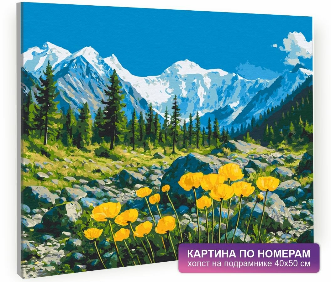 Картина по номерам на холсте с подрамником 40х50 см. Природа, горы, море, волны, пейзажи, небо, путешествия. "Горный Алтай. Гора Белуха", арт. 7740/