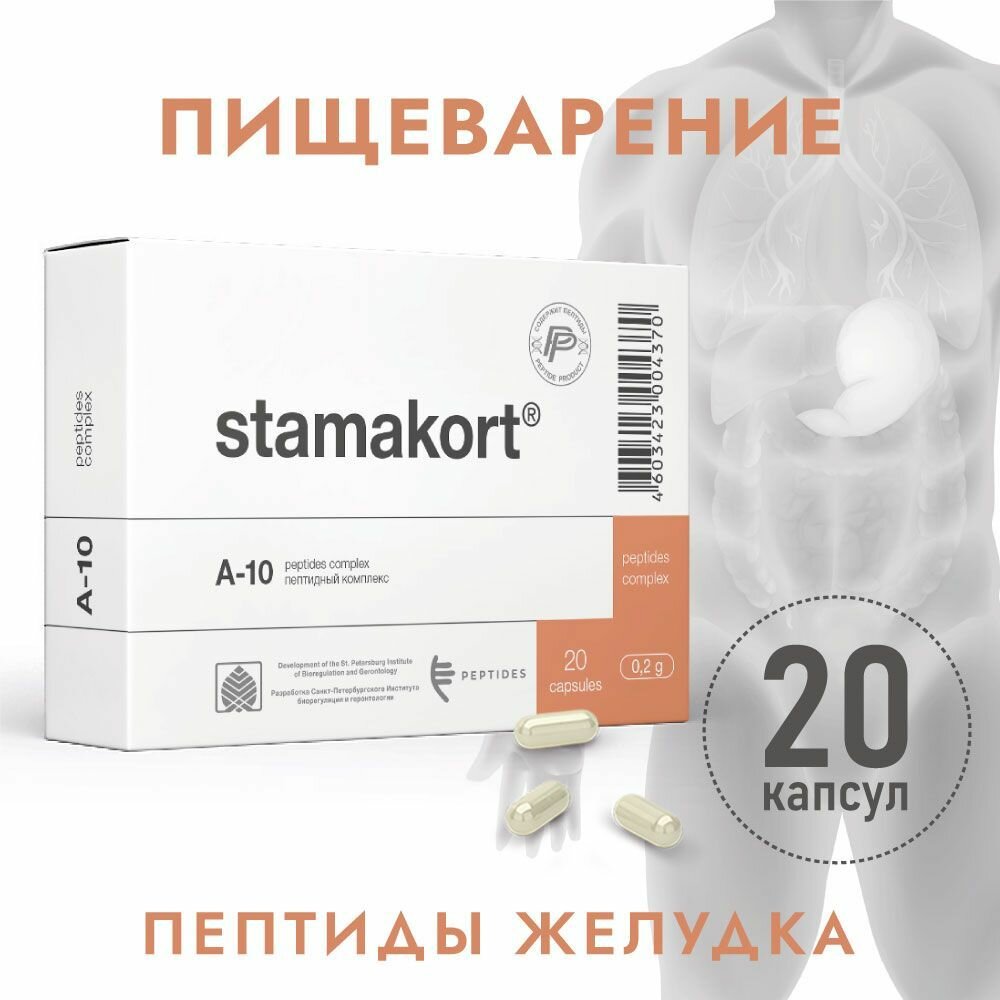 Стамакорт (Пептиды Хавинсона) пептид для желудка, 20 капсул, восстановление пищеварительной системы, профилактика заболеваний ЖКТ, гастрита, язвы, изжога БАД