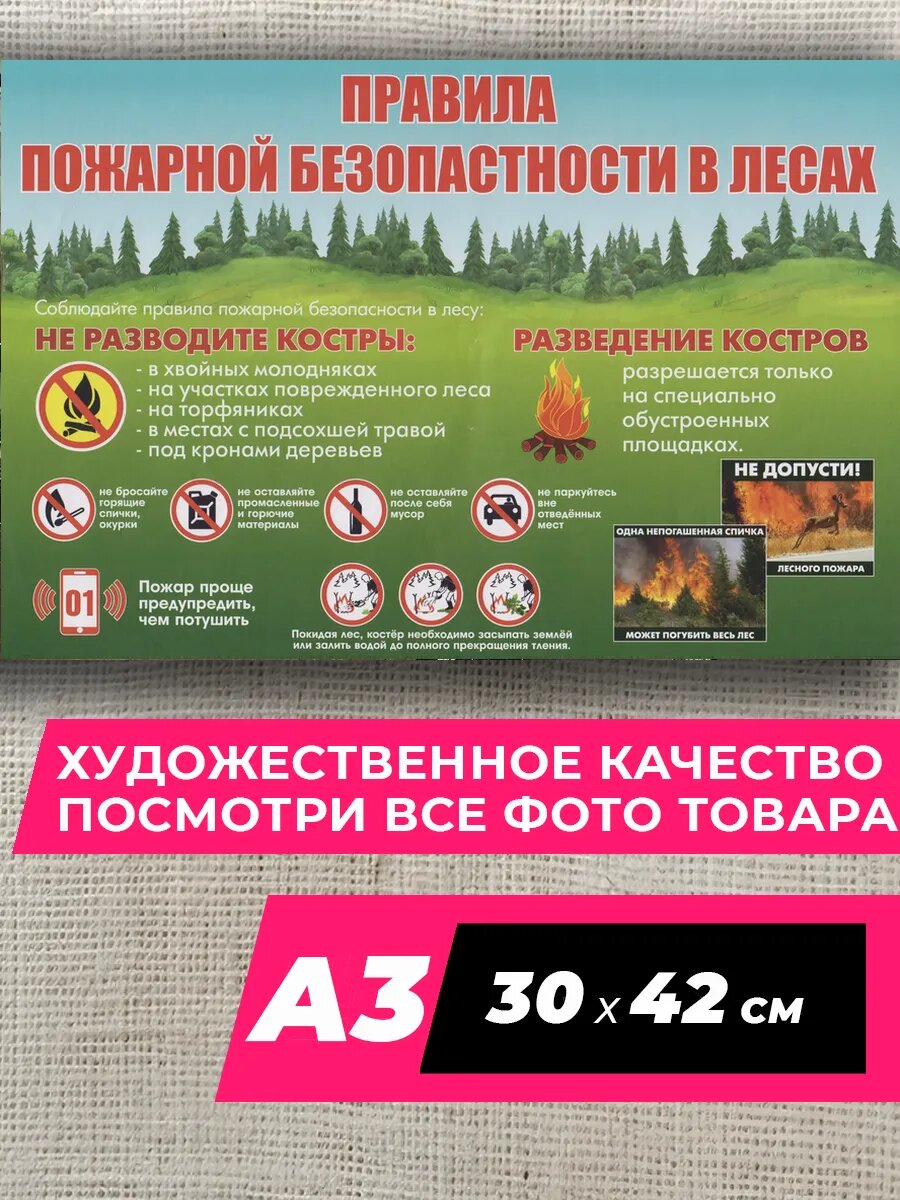 Плакат пожарная безопасность в лесу A3