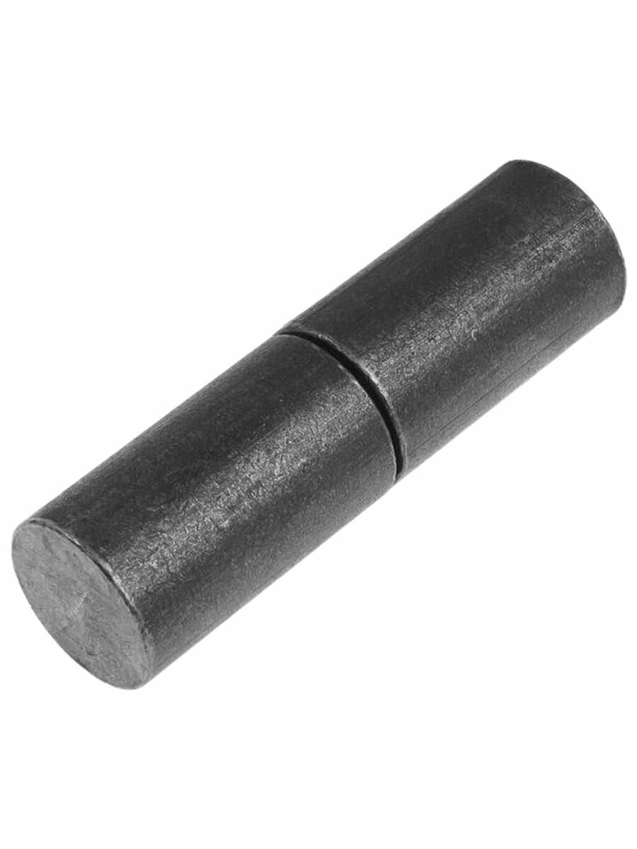 Петля гаражная ПГ-50х250