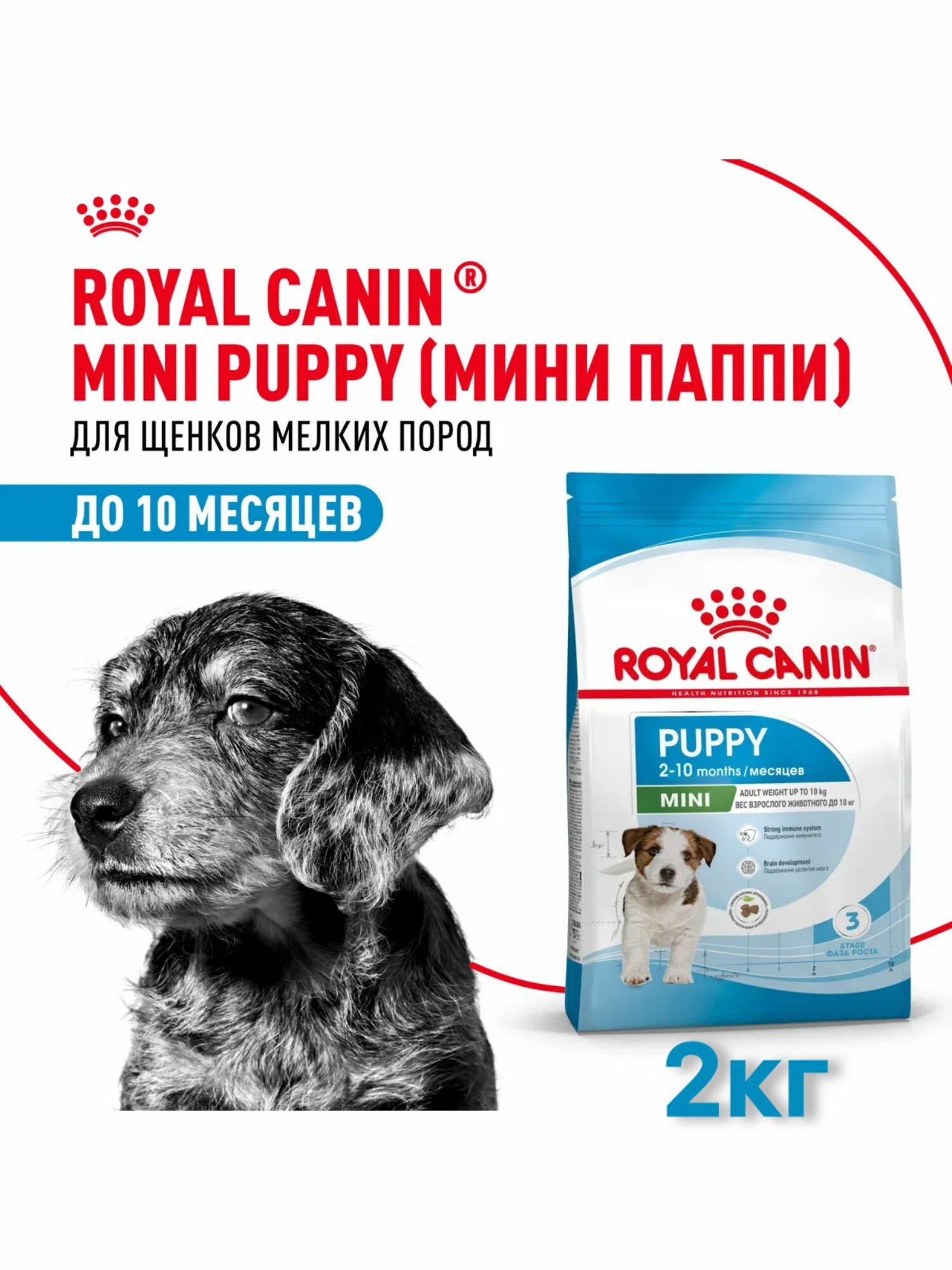 Корм для щенков мелких пород 2кг Mini Puppy