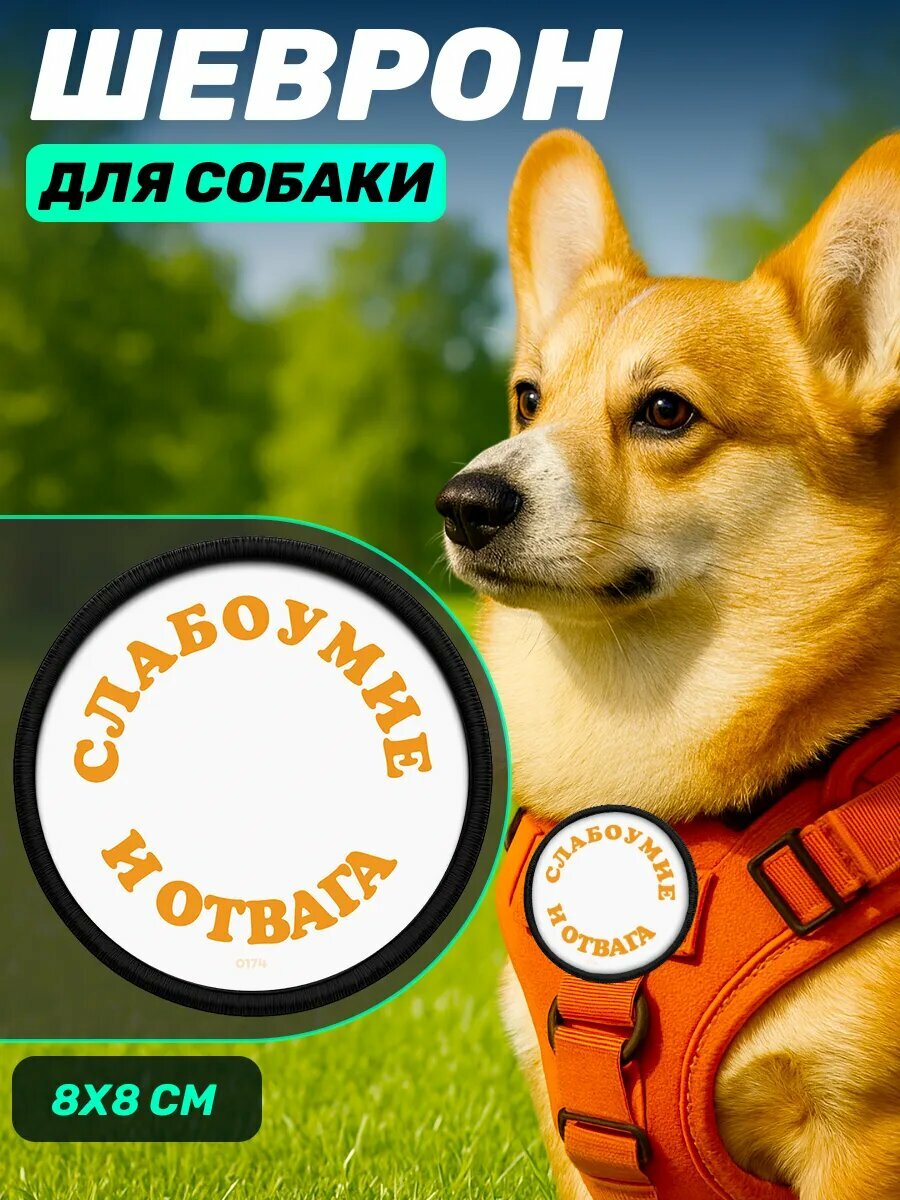 Шеврон на шлейку для собак Слабоумие и отвага универсальная белая