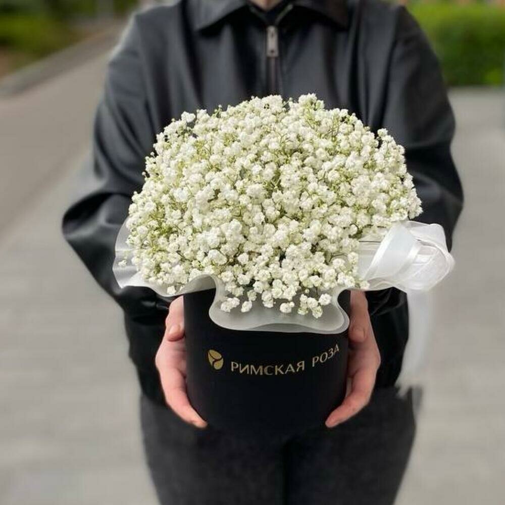 Композиция из белой гипсофилы в черной коробке в минималистичном стиле - римская роза
