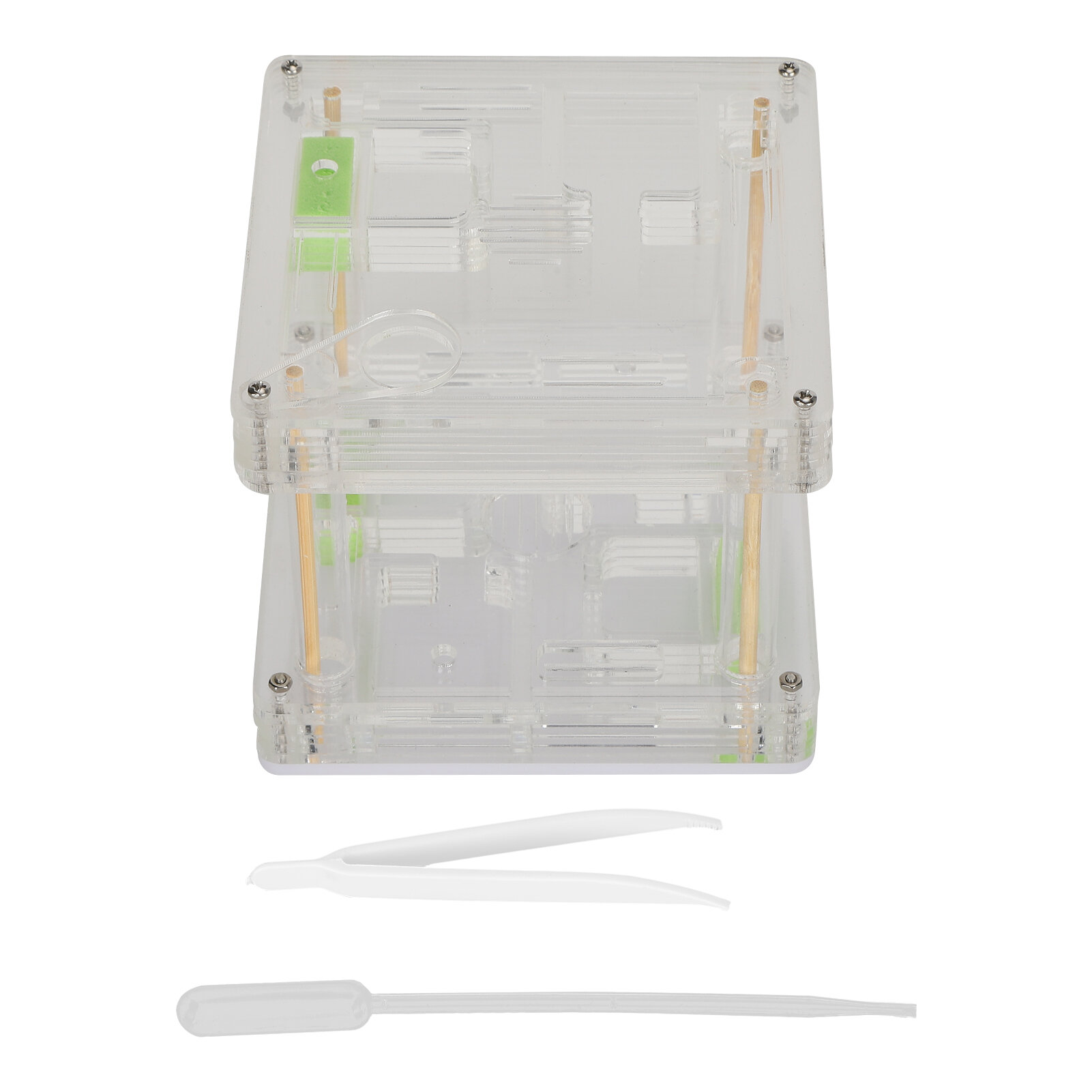 Муравей гнездо