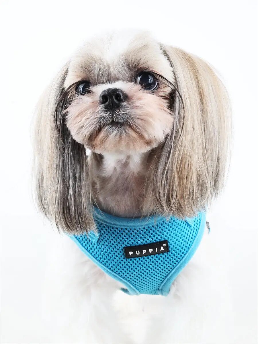 Шлейка для собак "Ritefit"