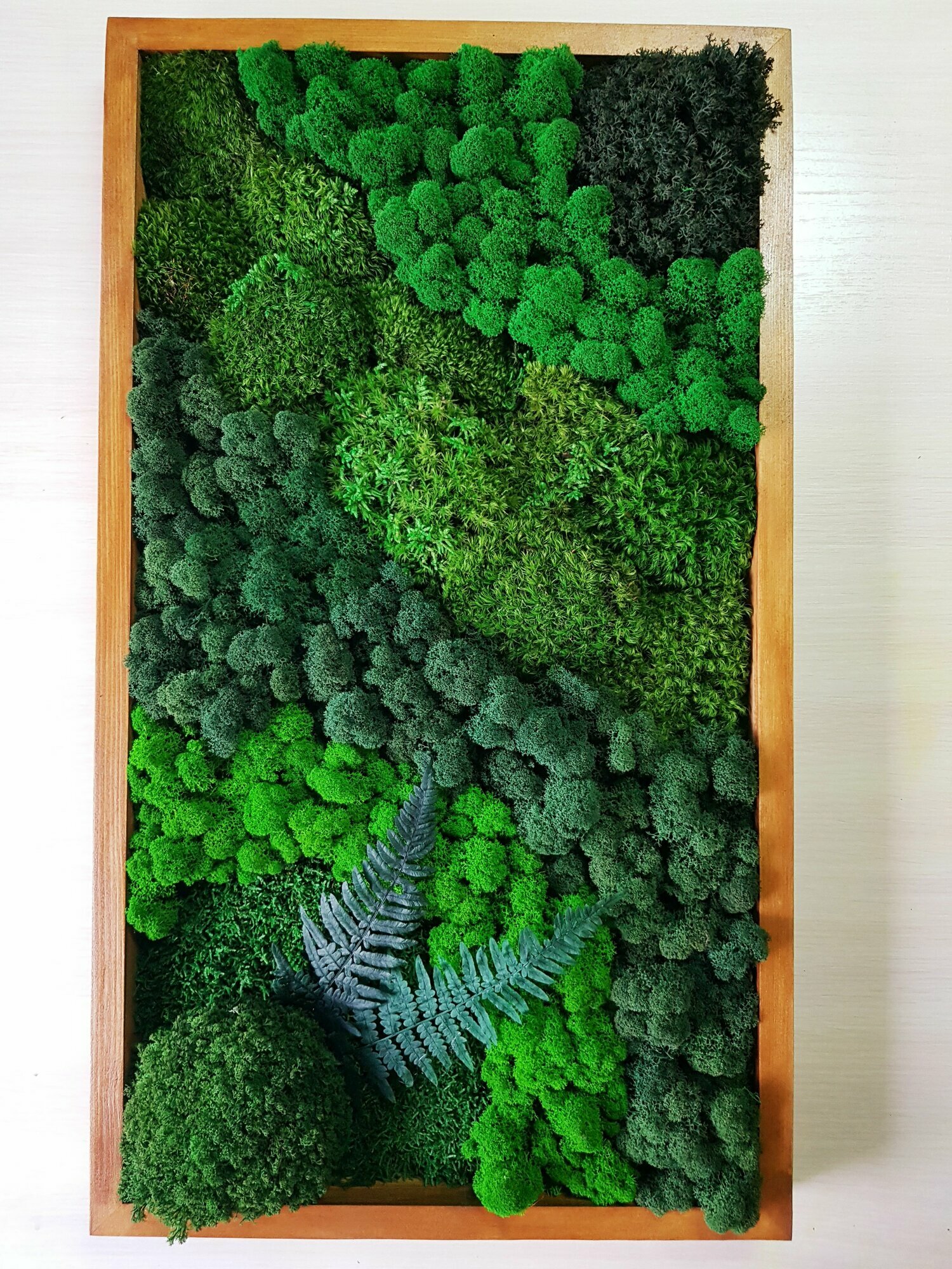 Панно /картина из мха/70*40 см/орех