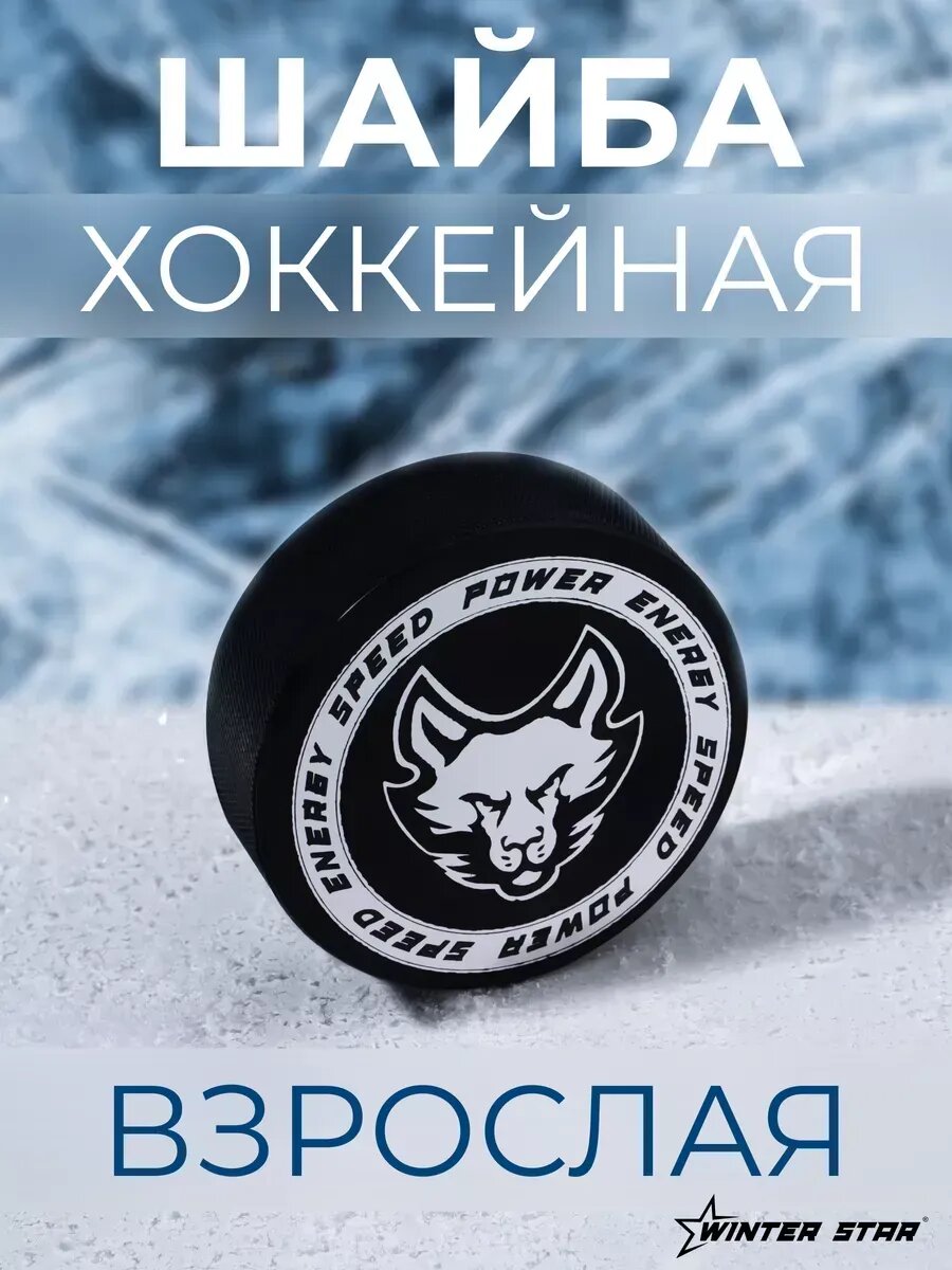 Шайба хоккейная