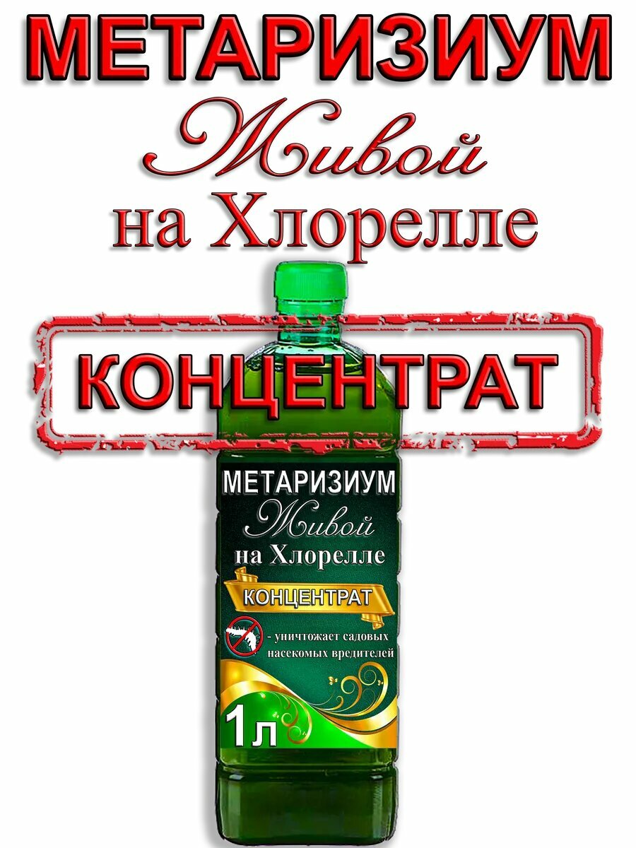 Метаризиум на Хлорелле живой, 1 литр