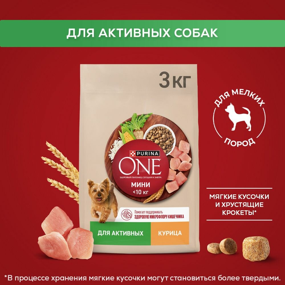 Сухой корм Purina ONE для собак мелких пород с активным образом жизни, с высоким содержанием курицы и с рисом, 3 кг