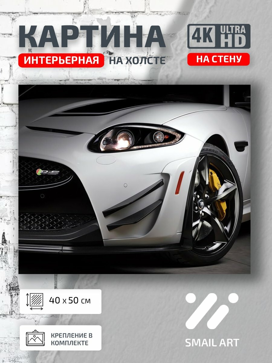 Картина на холсте интерьерная 40 на 50 на стену Белый Mustang для кабинета авто дизайн