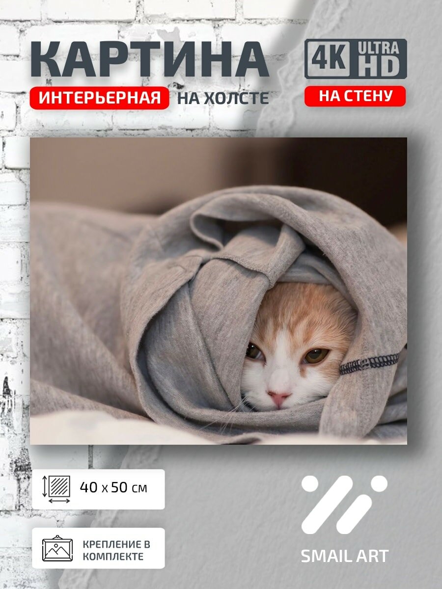 Картина на холсте интерьерная 40 на 50 на стену Закутавшийся кот для студии атмосфера
