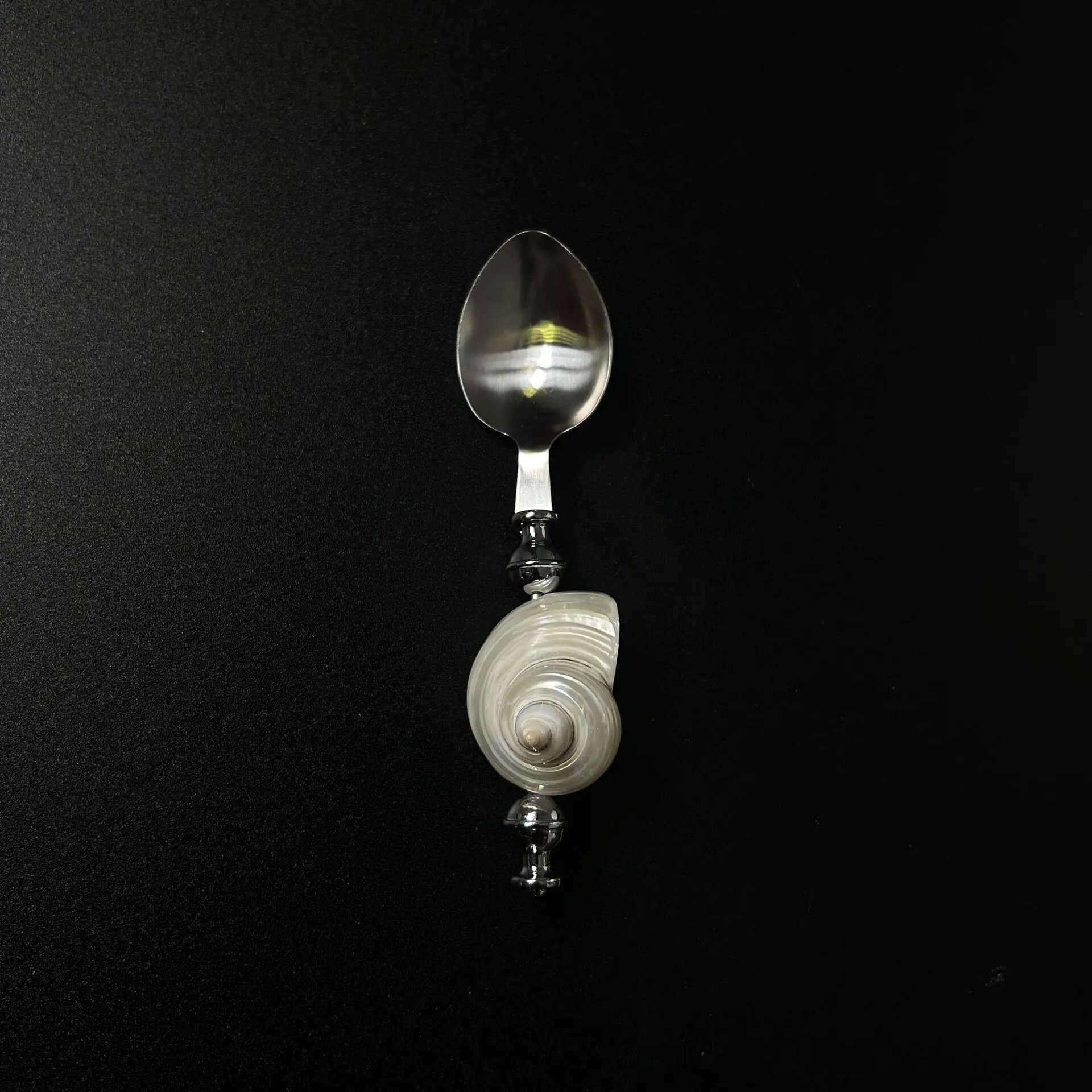 Столовые приборы из ракушек из нержавеющей стали Pearl Conch-Spoon