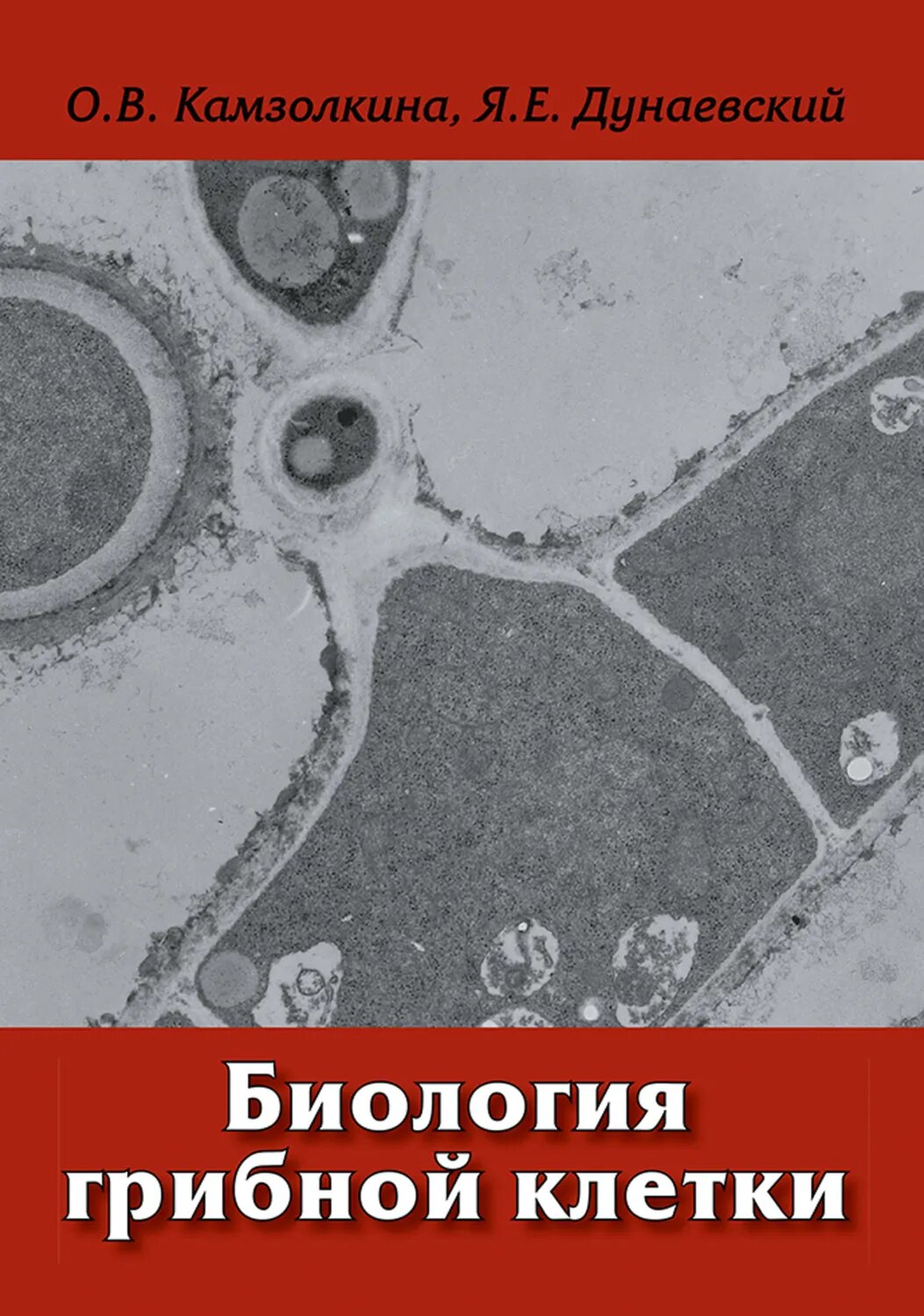Биология грибной клетки [Цифровая книга]