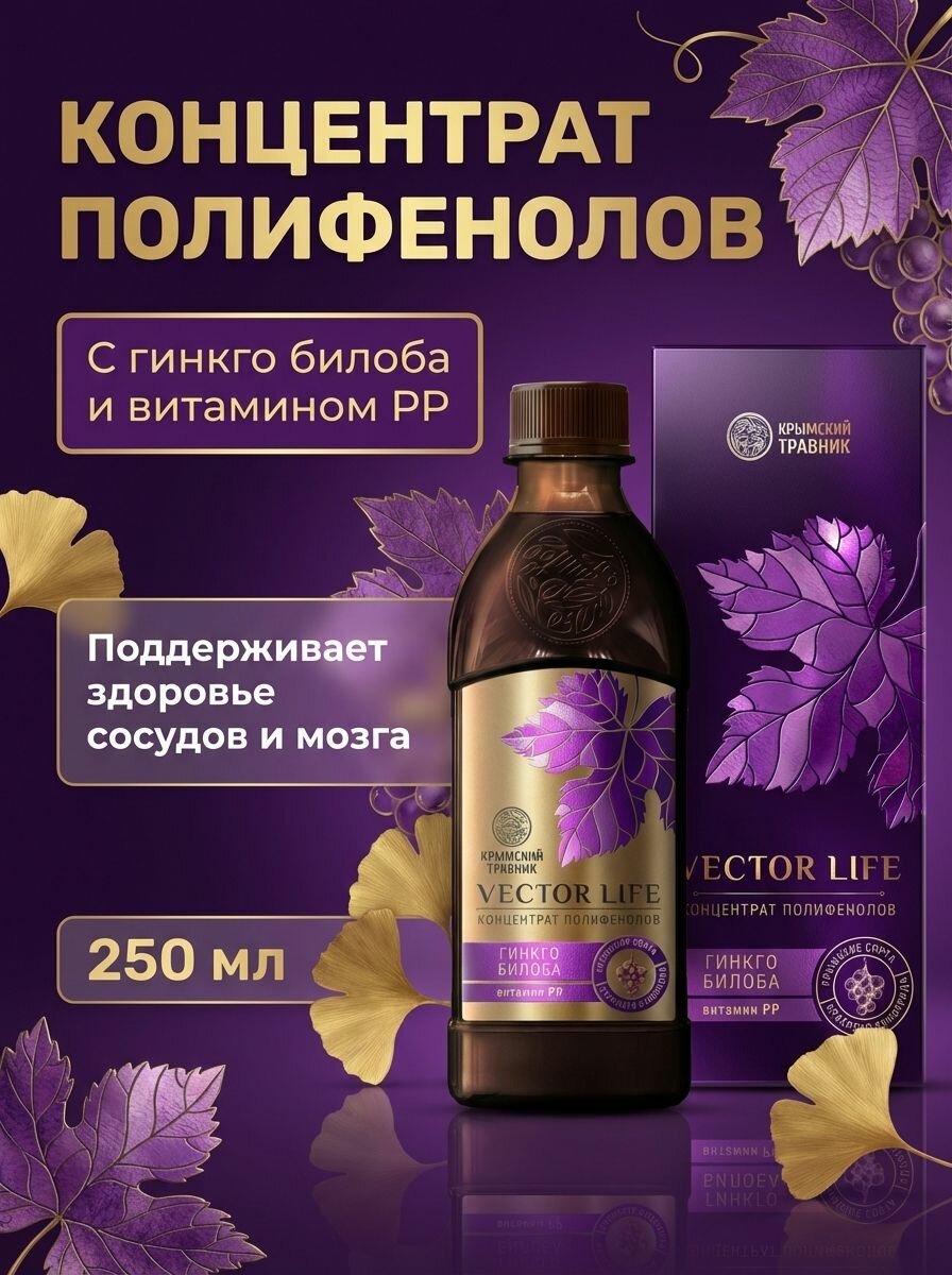 Концентрат полифенолов Гинкго билоба Vector life с витамином РР для сосудов и мозга, 250 мл