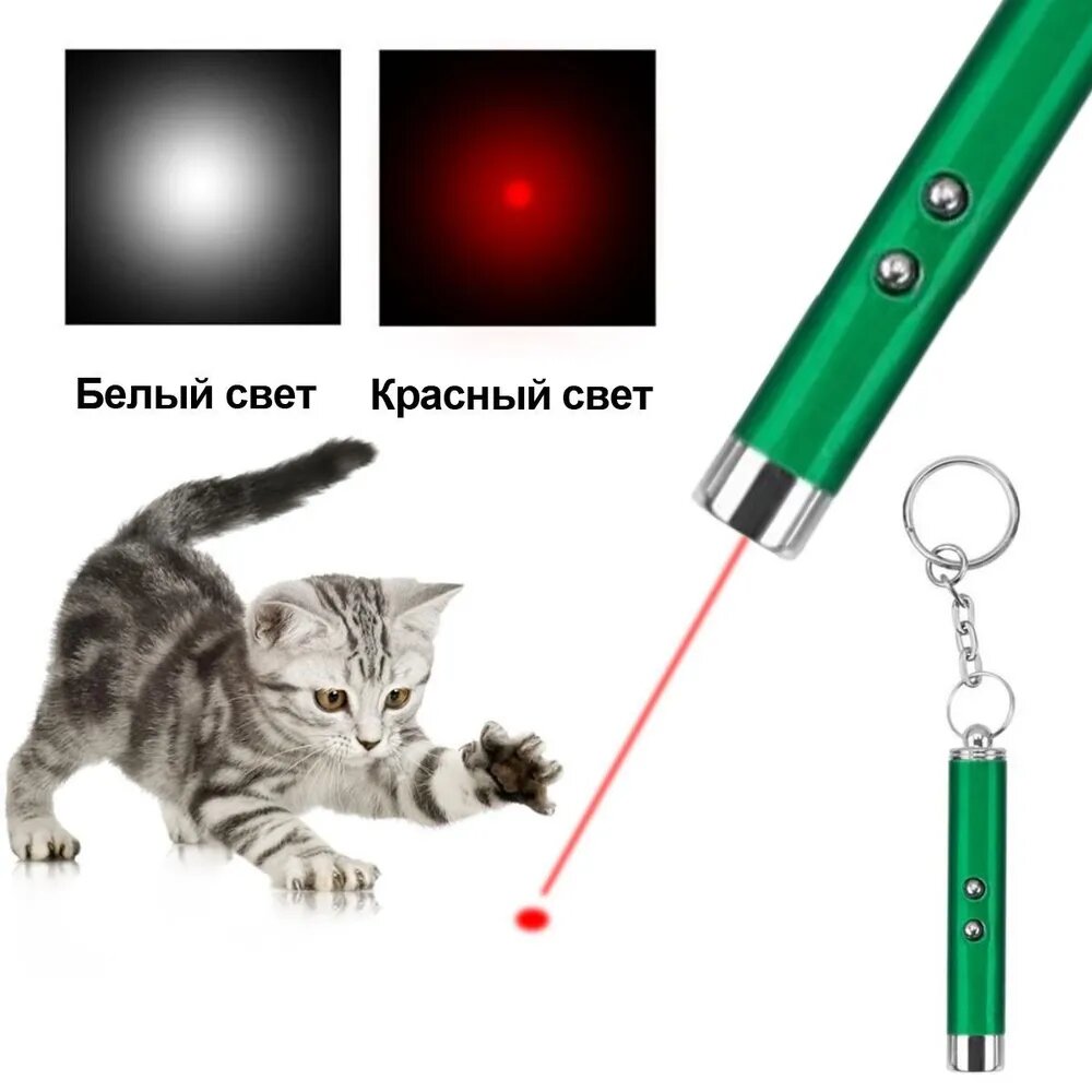 Лазерная указка, игрушка дразнилка для кошек и собак с карабином и фонариком, зелёная. Для игры с домашним питомцем, для презентаций, для животных, зоотовар. Красный лазер + фонарик