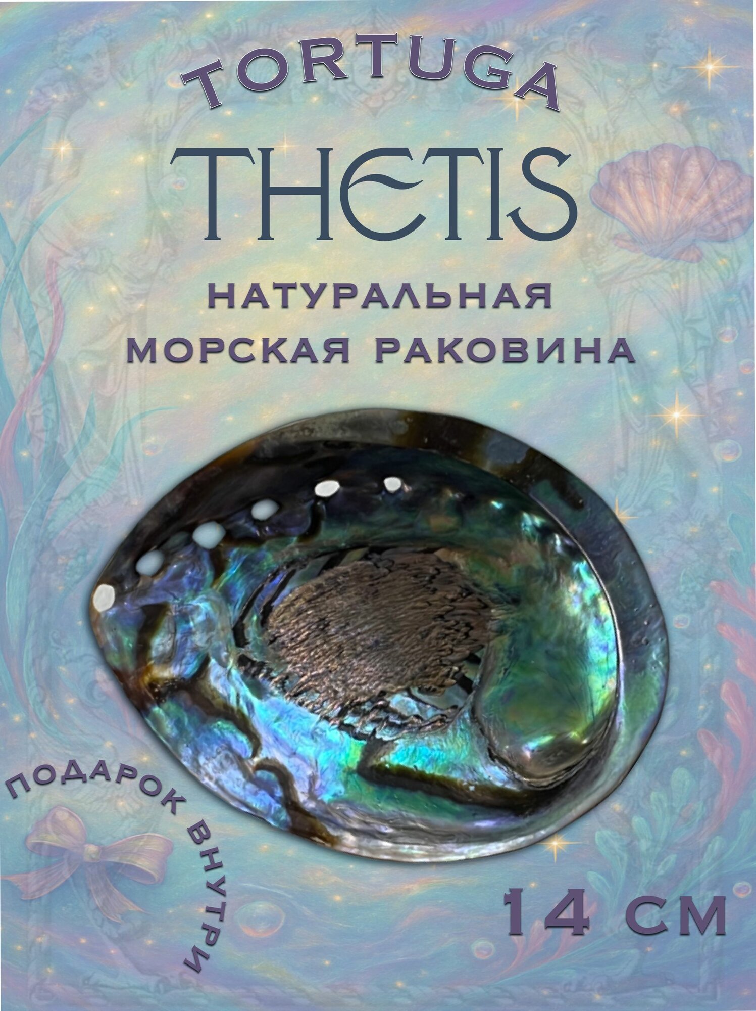 Подставка ракушка для благовоний "Thetis" TORTUGA, раковина абалон "морское ушко" 14см