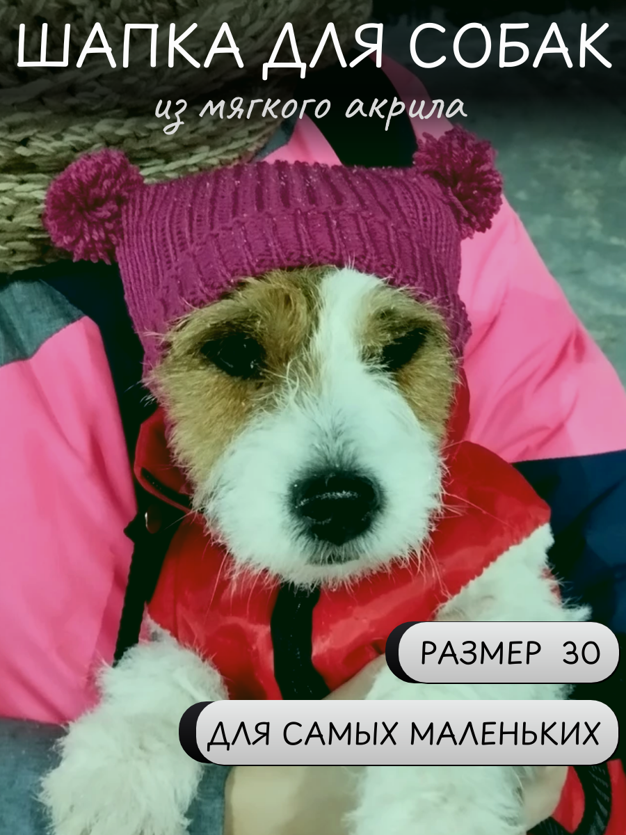 Шапка для маленьких собак капор с ушками с закрытой шеей, ягодная, акриловая, теплая зимняя вязаная