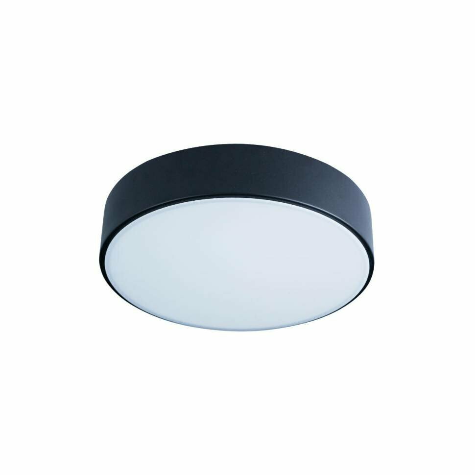10002/12 Black Потолочный светильник LOFT IT Axel