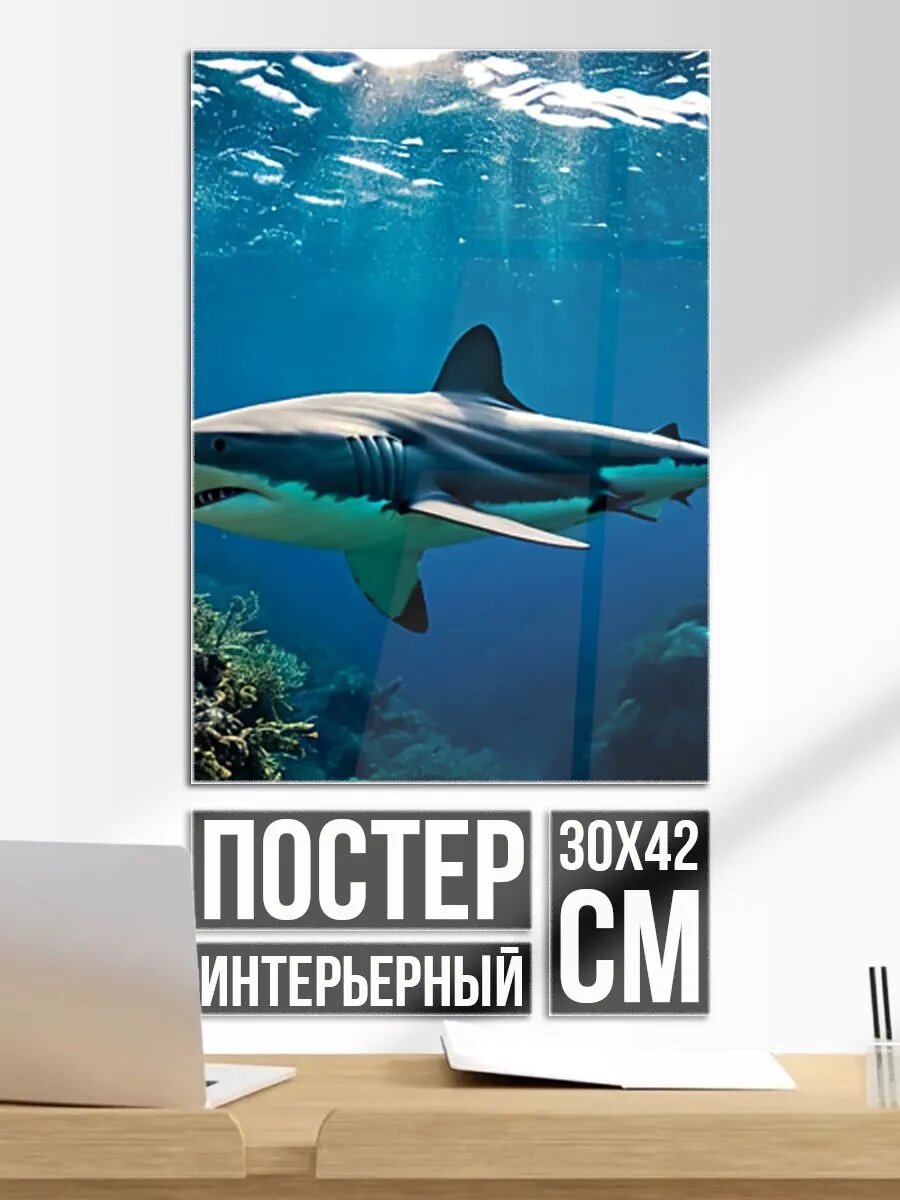 Постер на стену Акула в открытом море