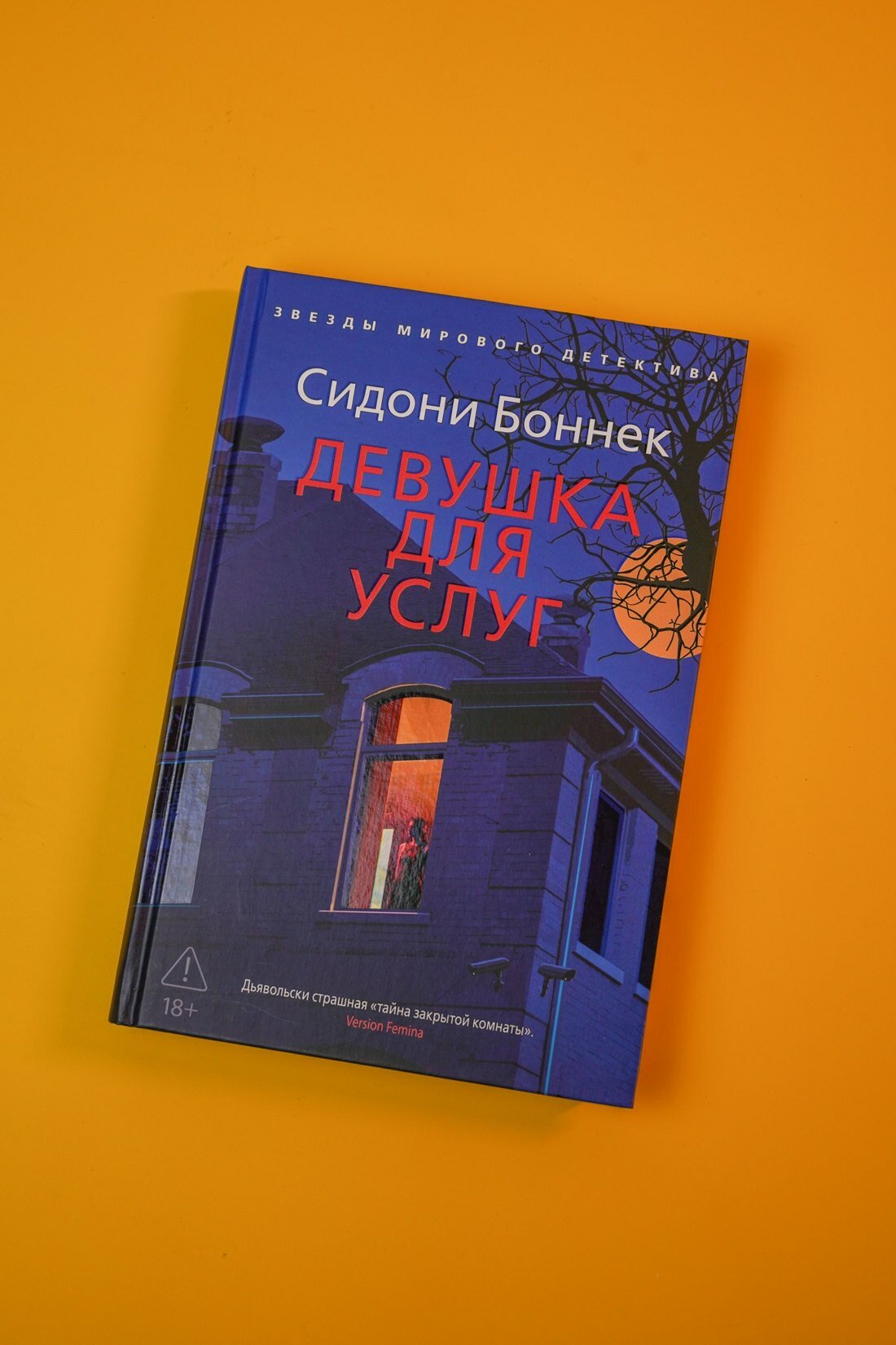 Девушка для услуг — фото 1