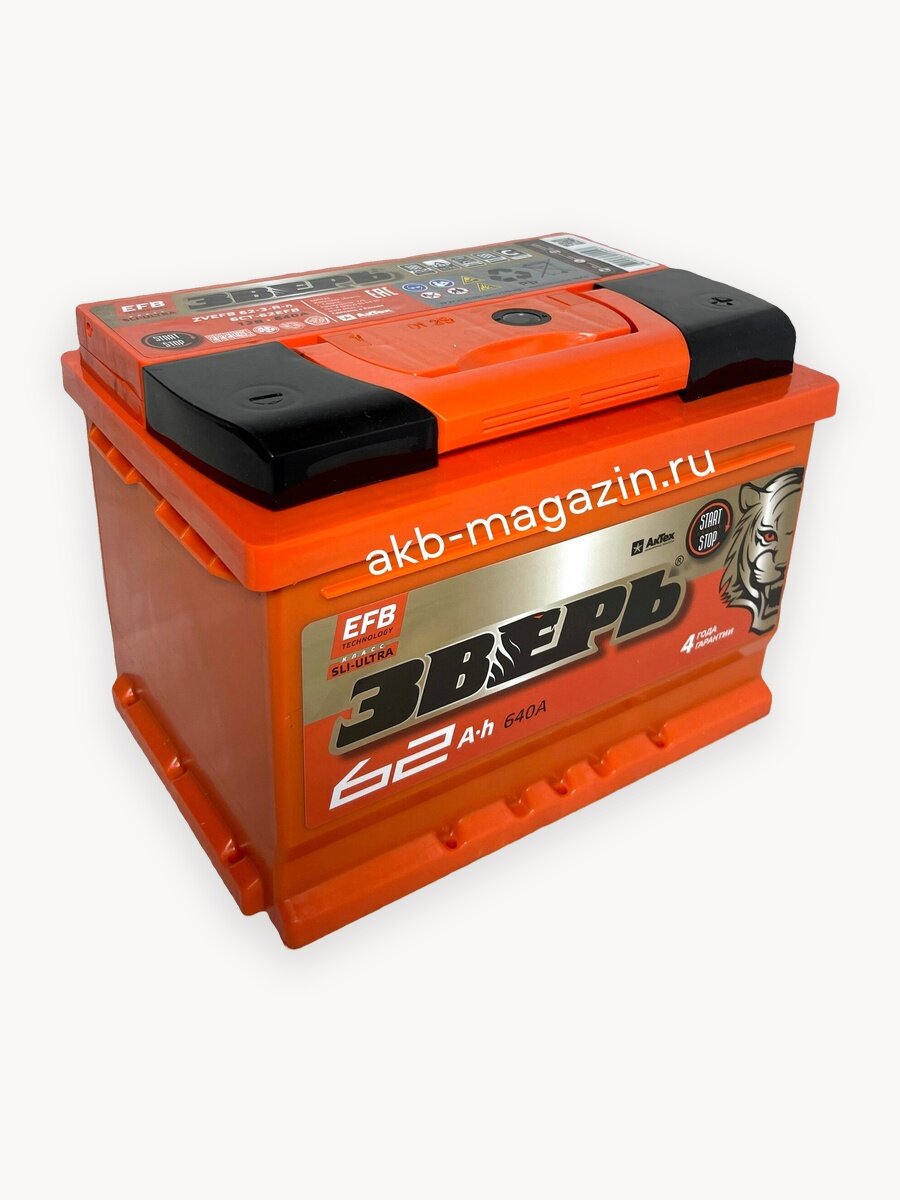 Автомобильный аккумулятор Зверь EFB 62 Ач 640A обрат. пол. (242х175х175) низкий