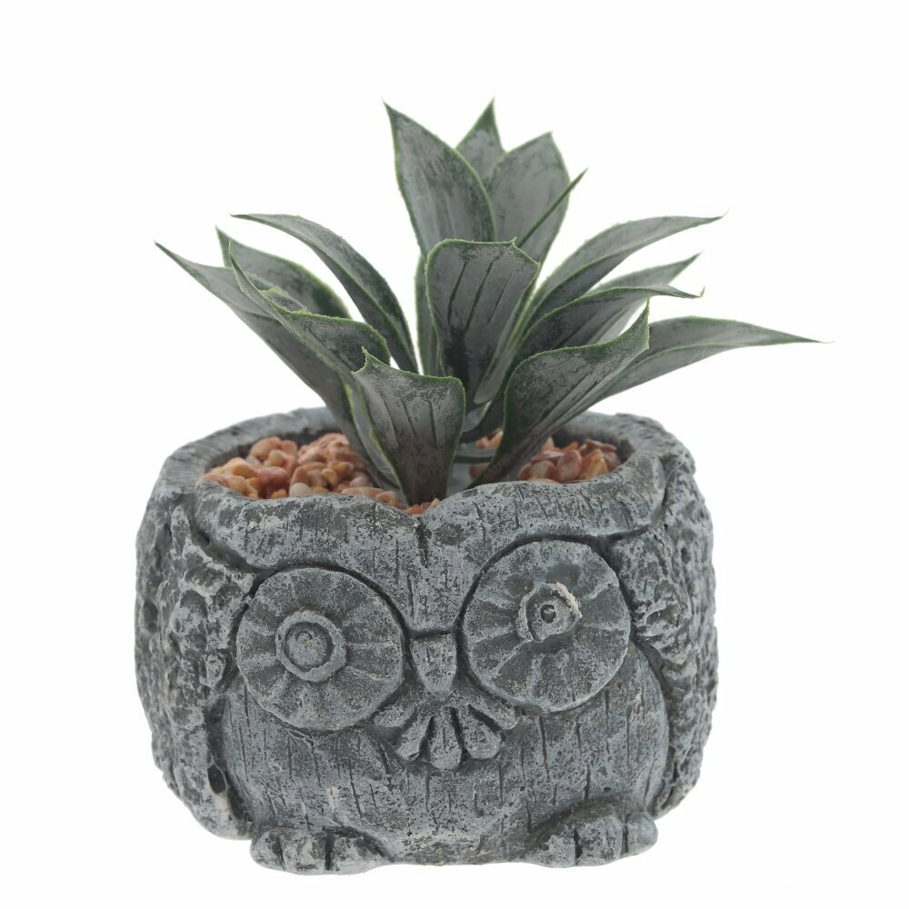 Цветочная композиция Суккулент, 11х11х12 см KSM-814266_4