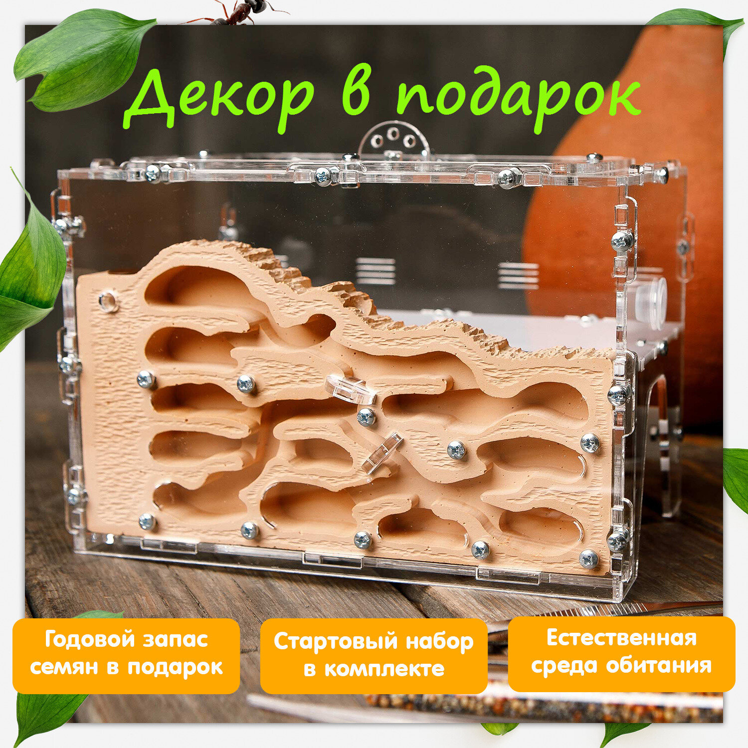 Муравьиная ферма
