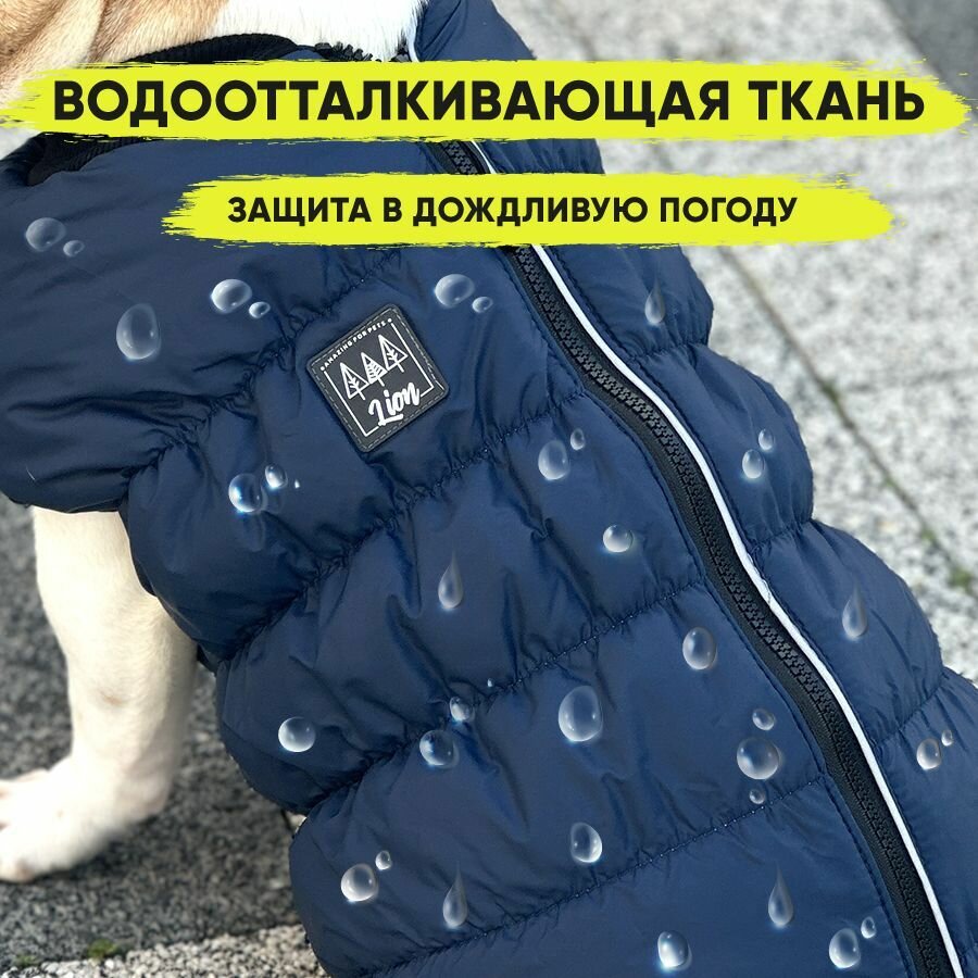 Одежда для животных — фото 1