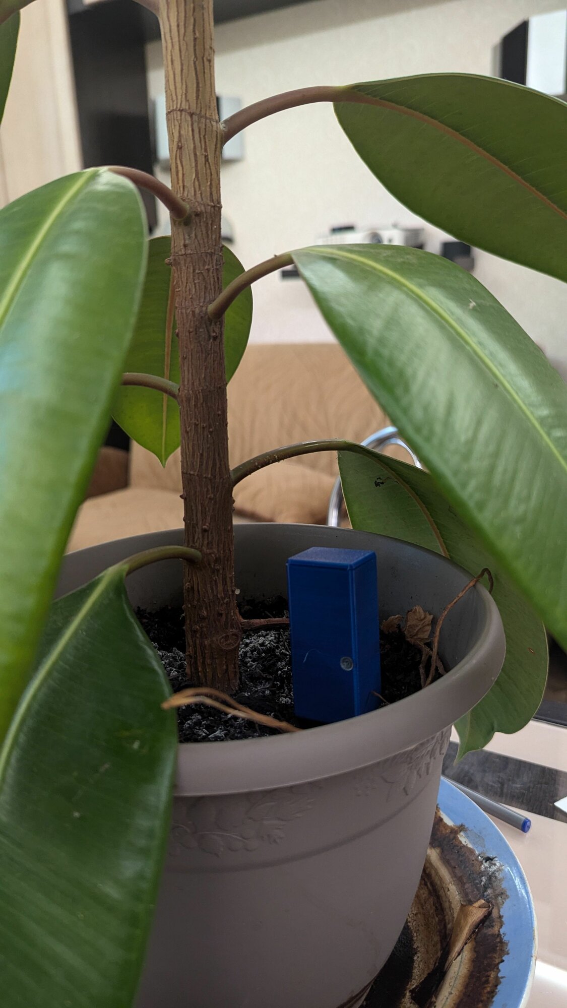 Zigbee датчик влажности почвы для Yandex "Компакт". Синий