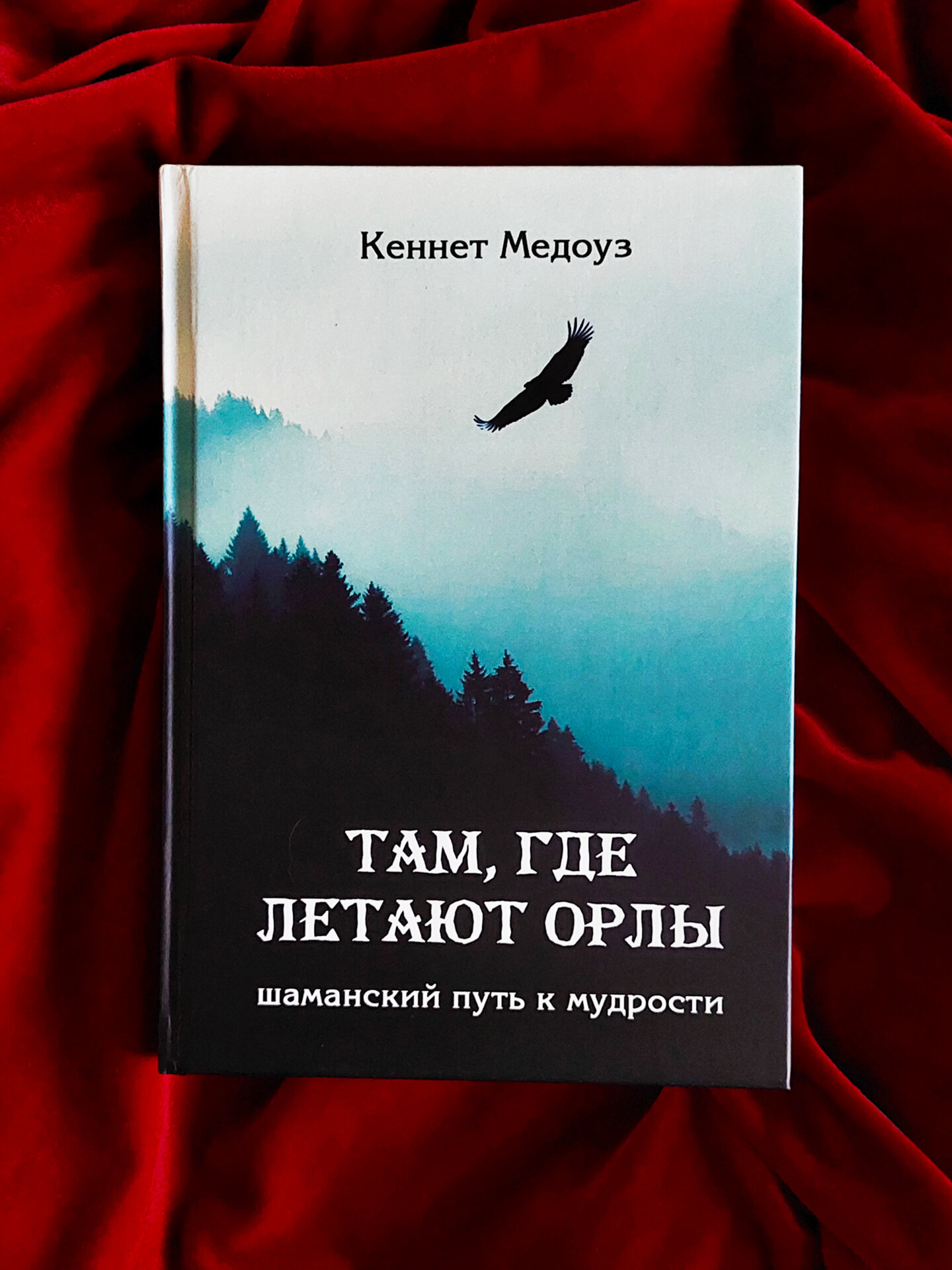 Шаманский путь к мудрости (Там, где летают орлы)