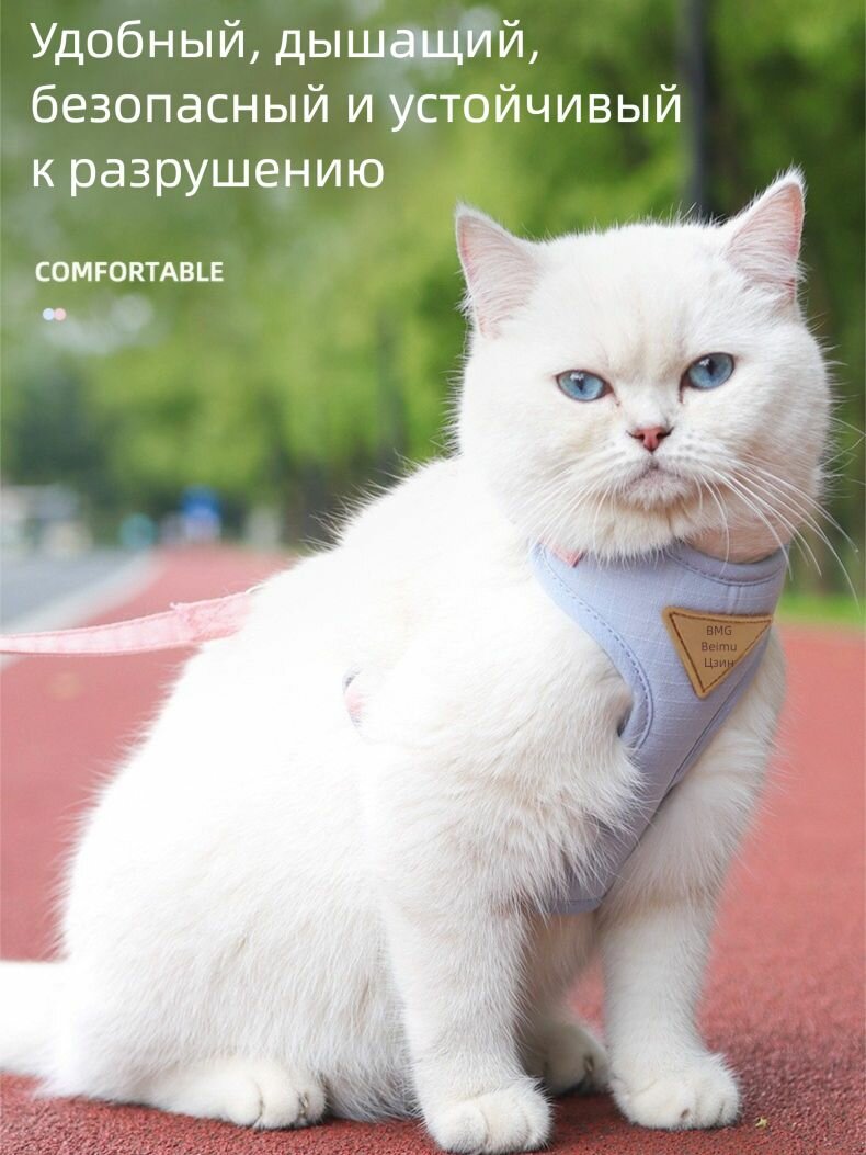 Шлейка для кошек с поводком, шлейка для собак мелких породшлейка для собак мелких пород