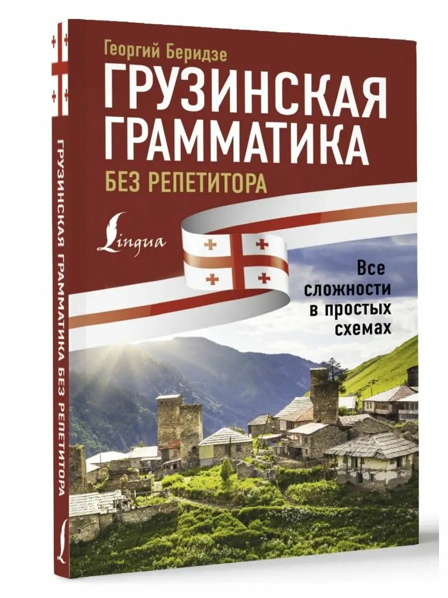 Грузинская грамматика без репетитора. Все сложности в