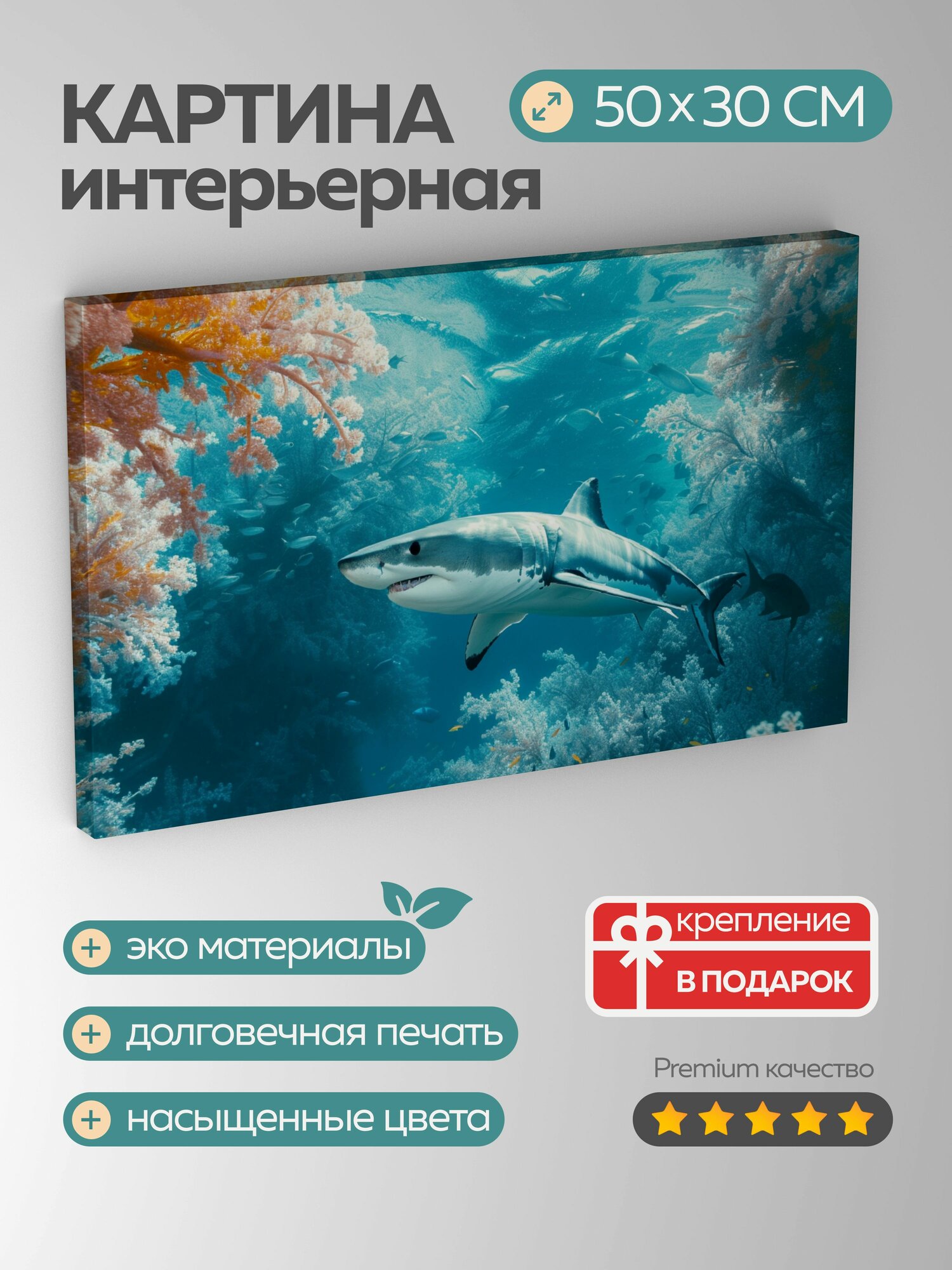 Картина на холсте интерьерная 50х30 см, белая акула, подводное царство, кристально чистые воды, глубины, коралловый риф