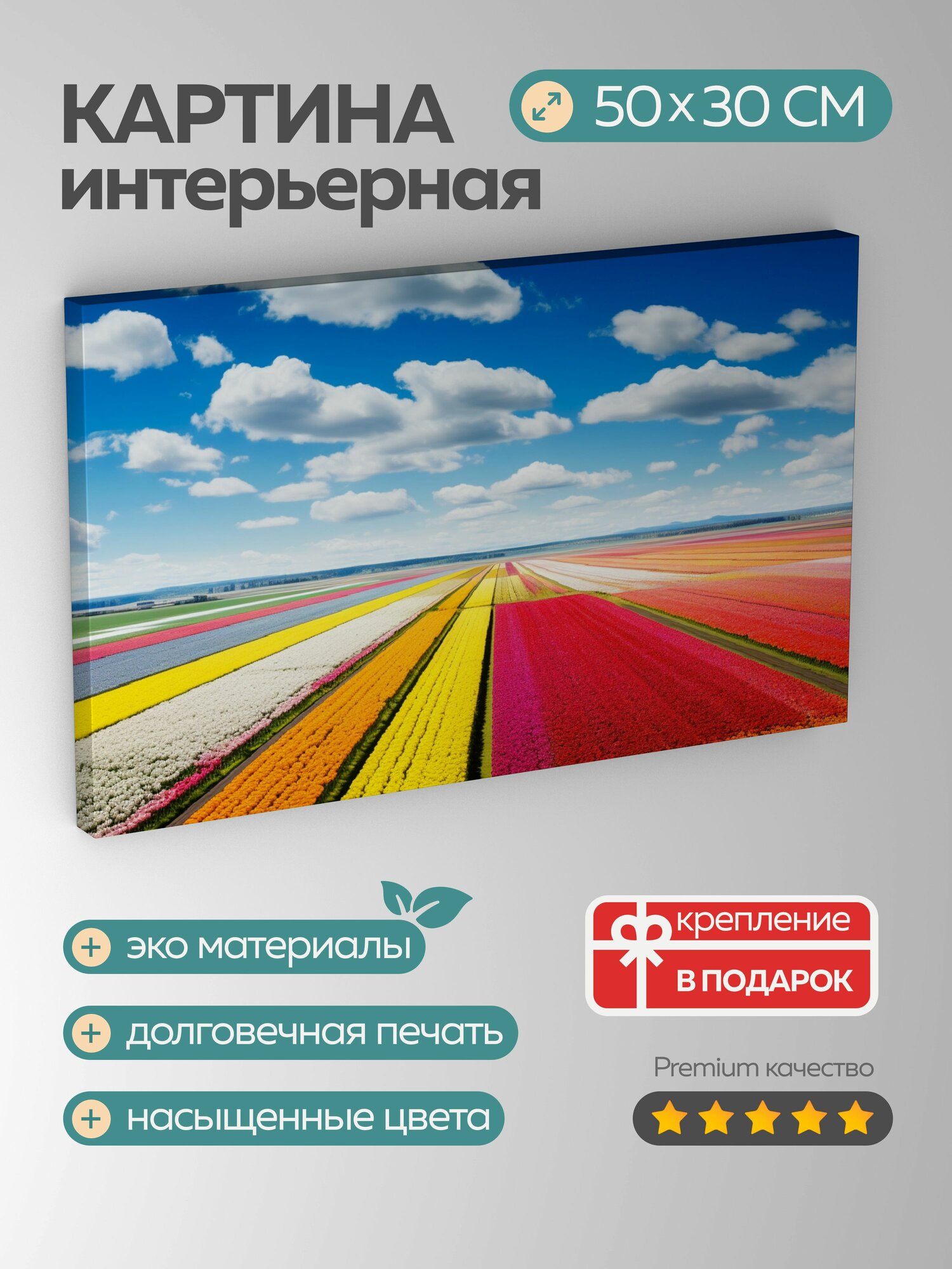 Картина на холсте интерьерная 50х30 см, тюльпаны, поле, цвета, горизонт, симметрия, узор, фокус, формы, солнечный свет