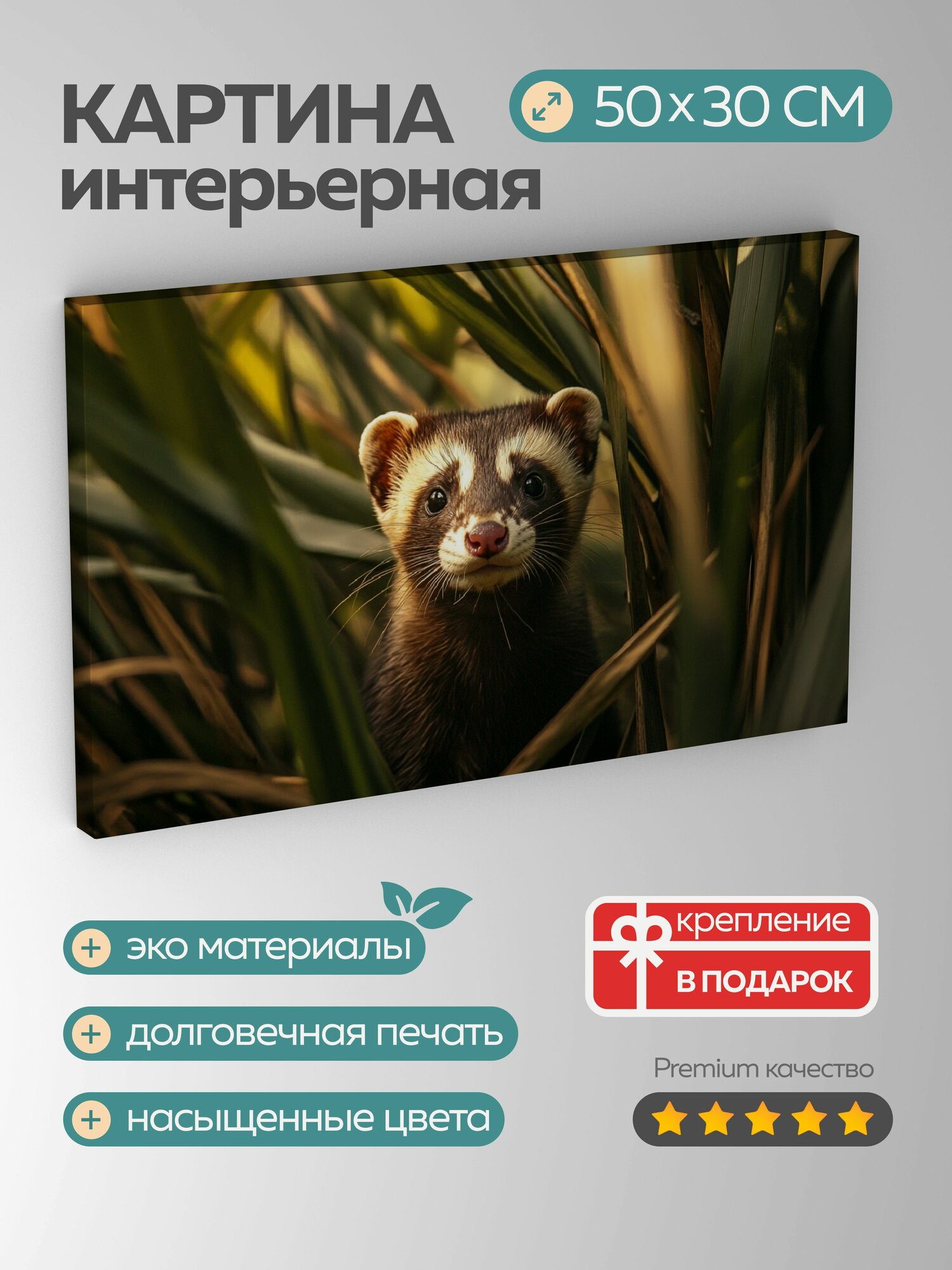 Картина на холсте интерьерная 50х30 см, хорёк, тростник, природа, любознательность, игривость, естественная среда