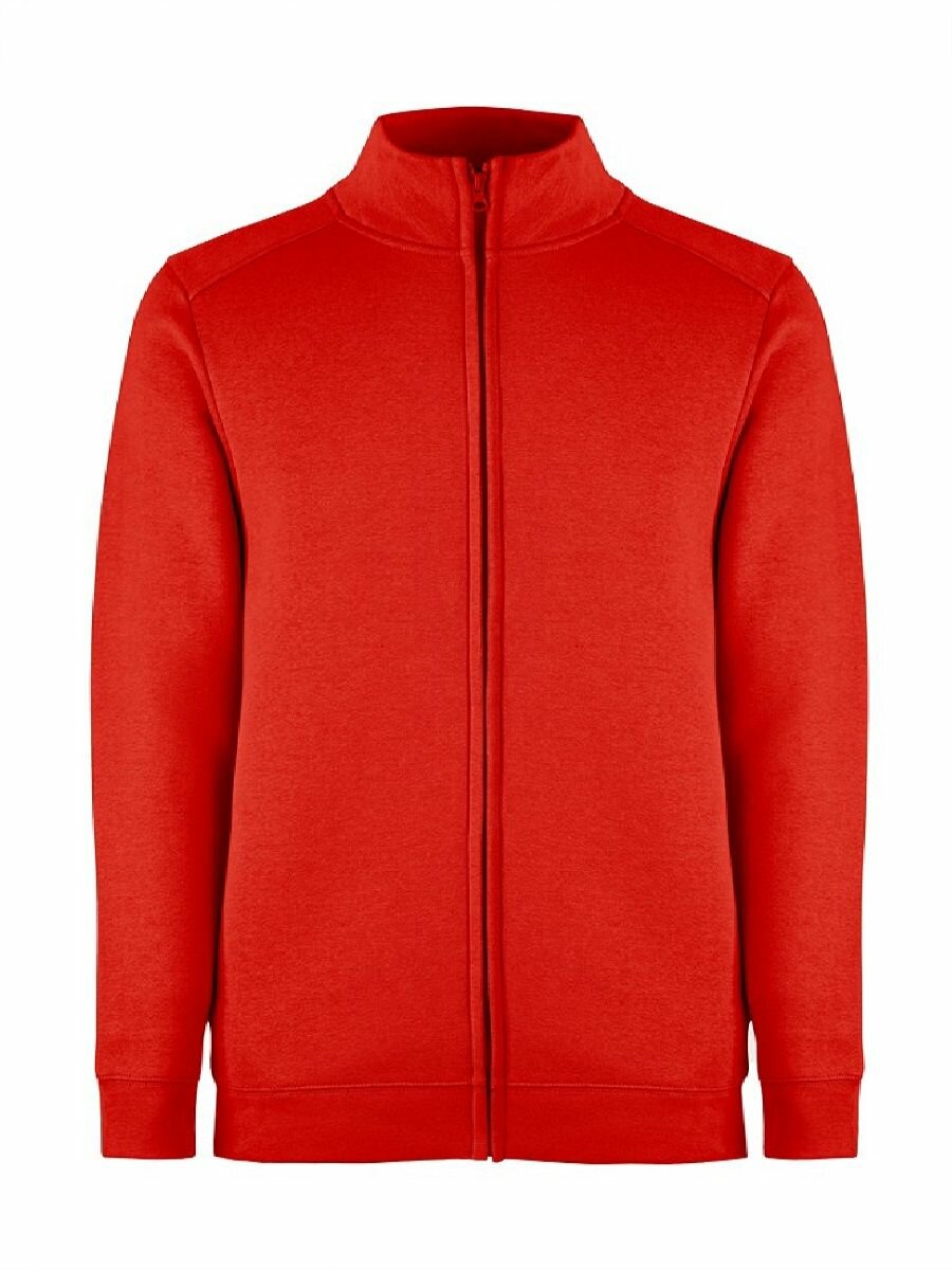 Толстовка спортивная