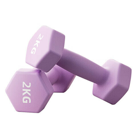 Langwei чугунные гири 2 кг для тренировок, универсальные гири для силовой подготовки Цвет：Лавандовый пурпур 2 кг*2