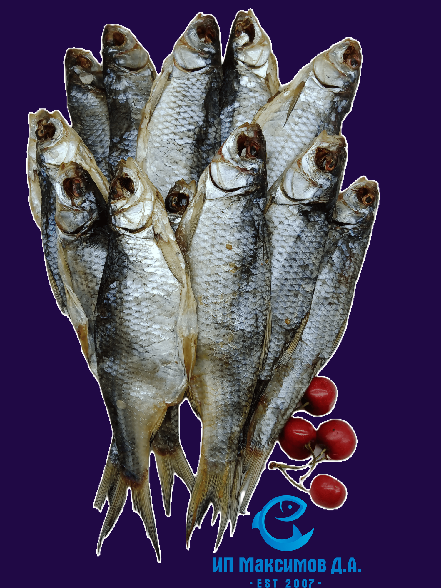 Плотва 1,5кг "Volga"