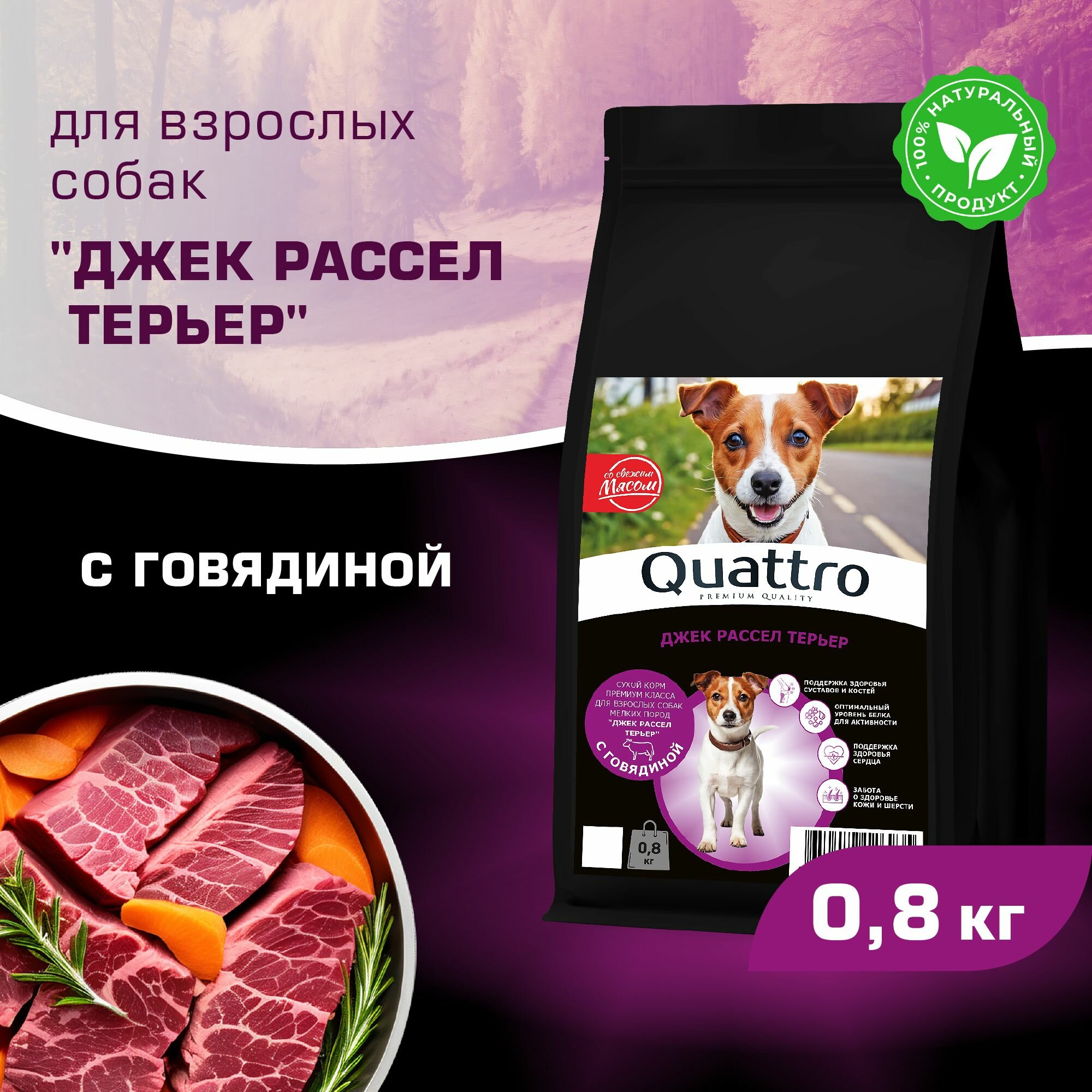 Quattro корм для взрослых собак породы Джек Рассел Терьер, с говядиной 800 гр