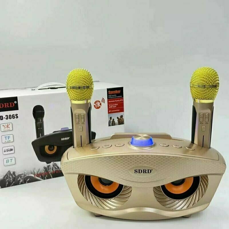 Караоке система SDRD SD-306, с 2 беспроводными микрофонами, золотистая