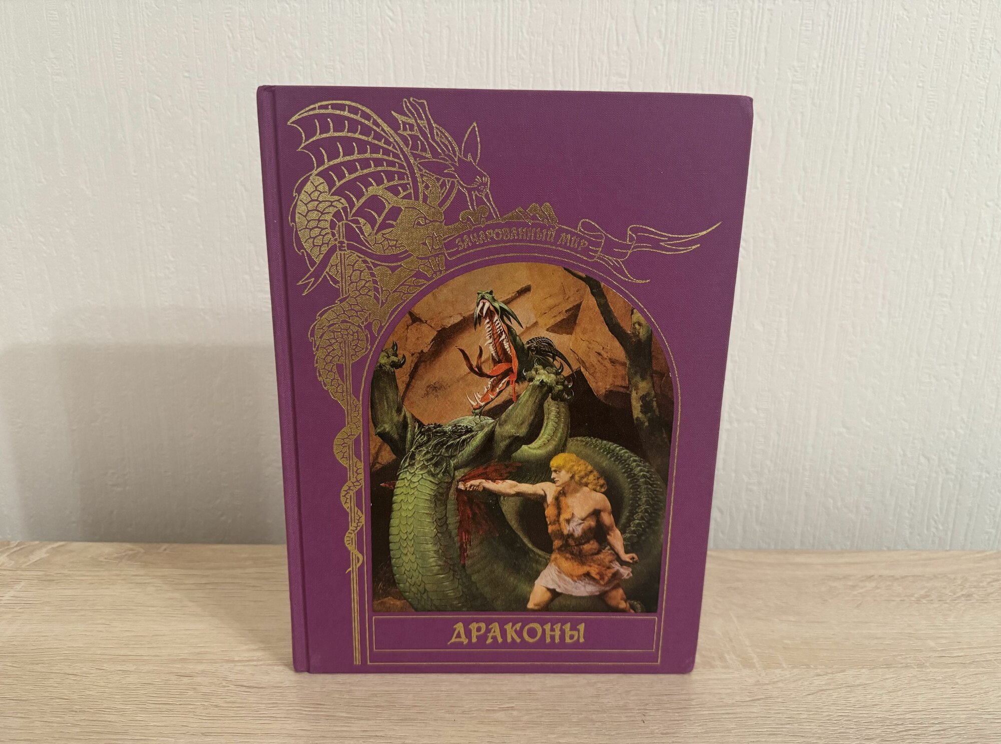 Зачарованный мир Драконы, Терра