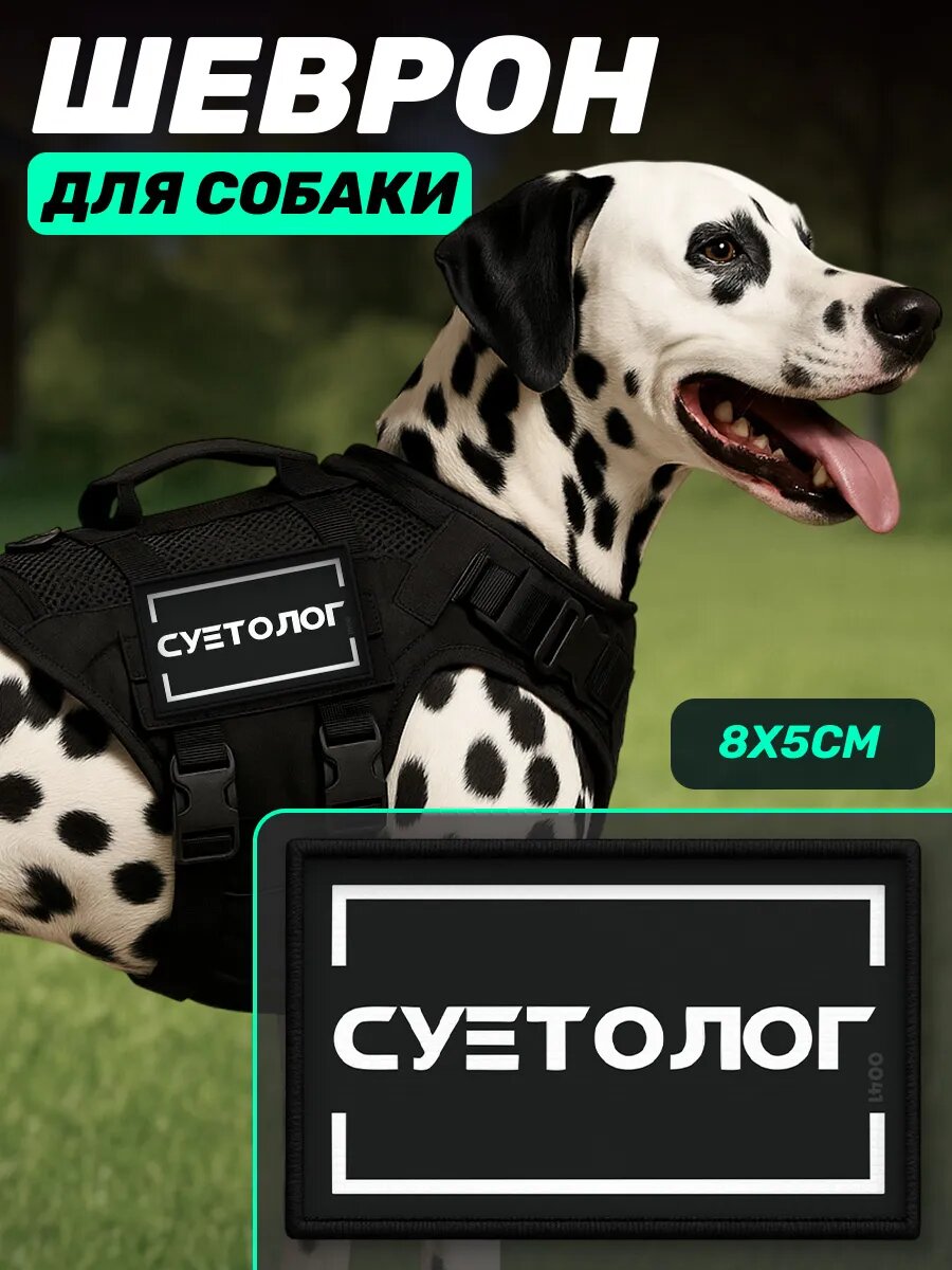 Шеврон на шлейку для собак Суетолог