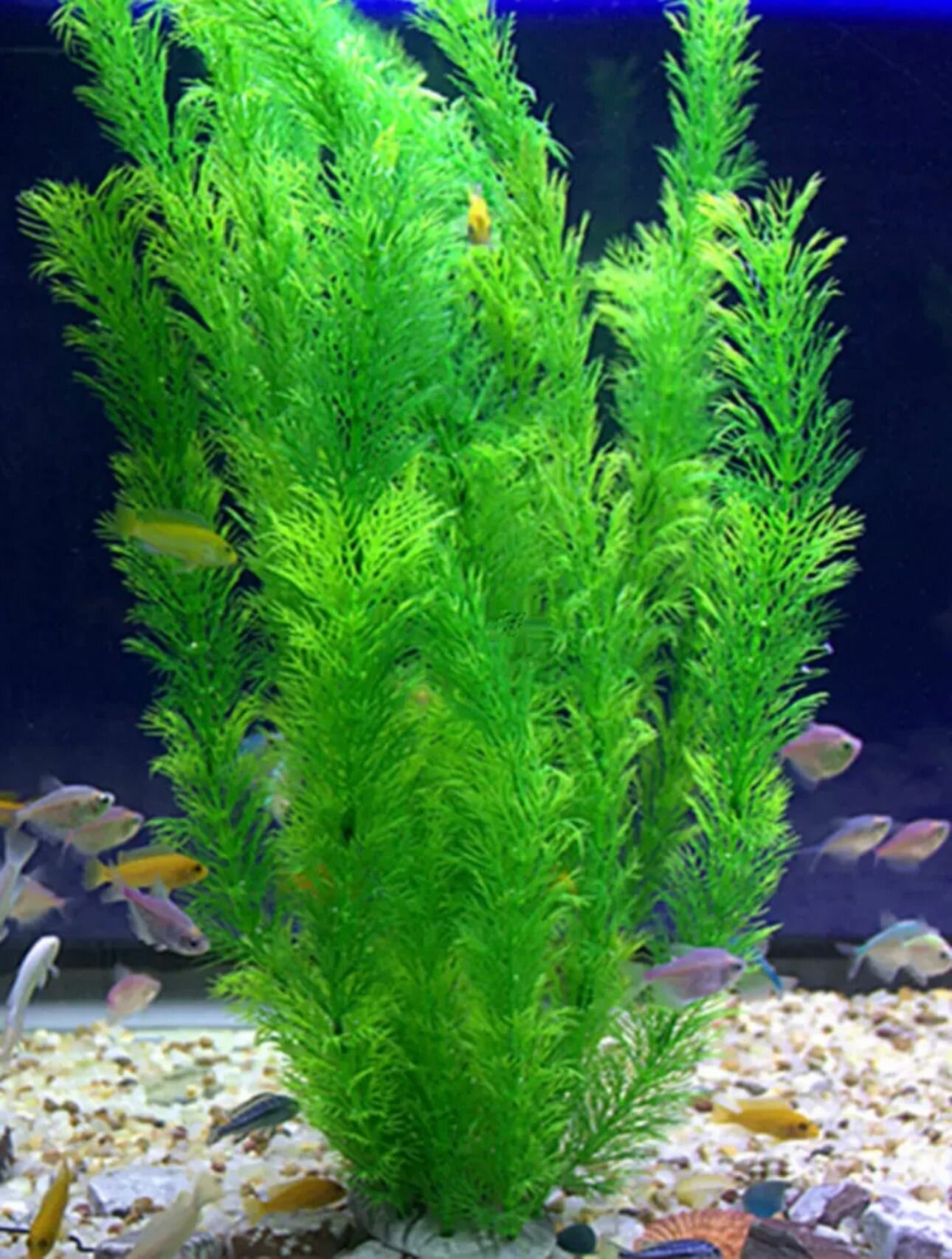 Аквариумное искусственное растение 40см