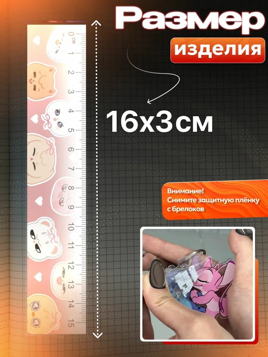 Линейка SKZOO — фото 1