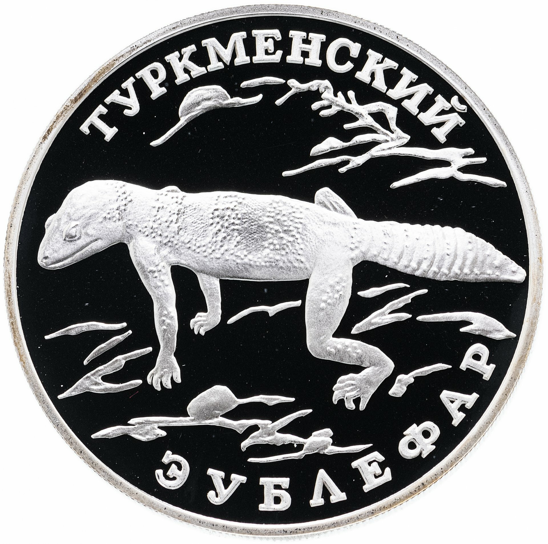 1 рубль 1996 ЛМД Proof туркменский эублефар Красная книга, Серебро 900