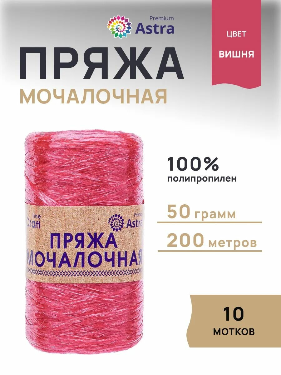 Пряжа для вязания Astra Premium 'Мочалочная' 50г, 200м (100% полипропилен) (вишня), 10 мотков