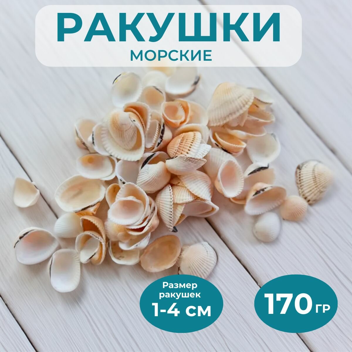 Морские ракушки декоративные для аквариума и декора, ассорти "Морской бриз" 1-4 см, 170 г в упаковке
